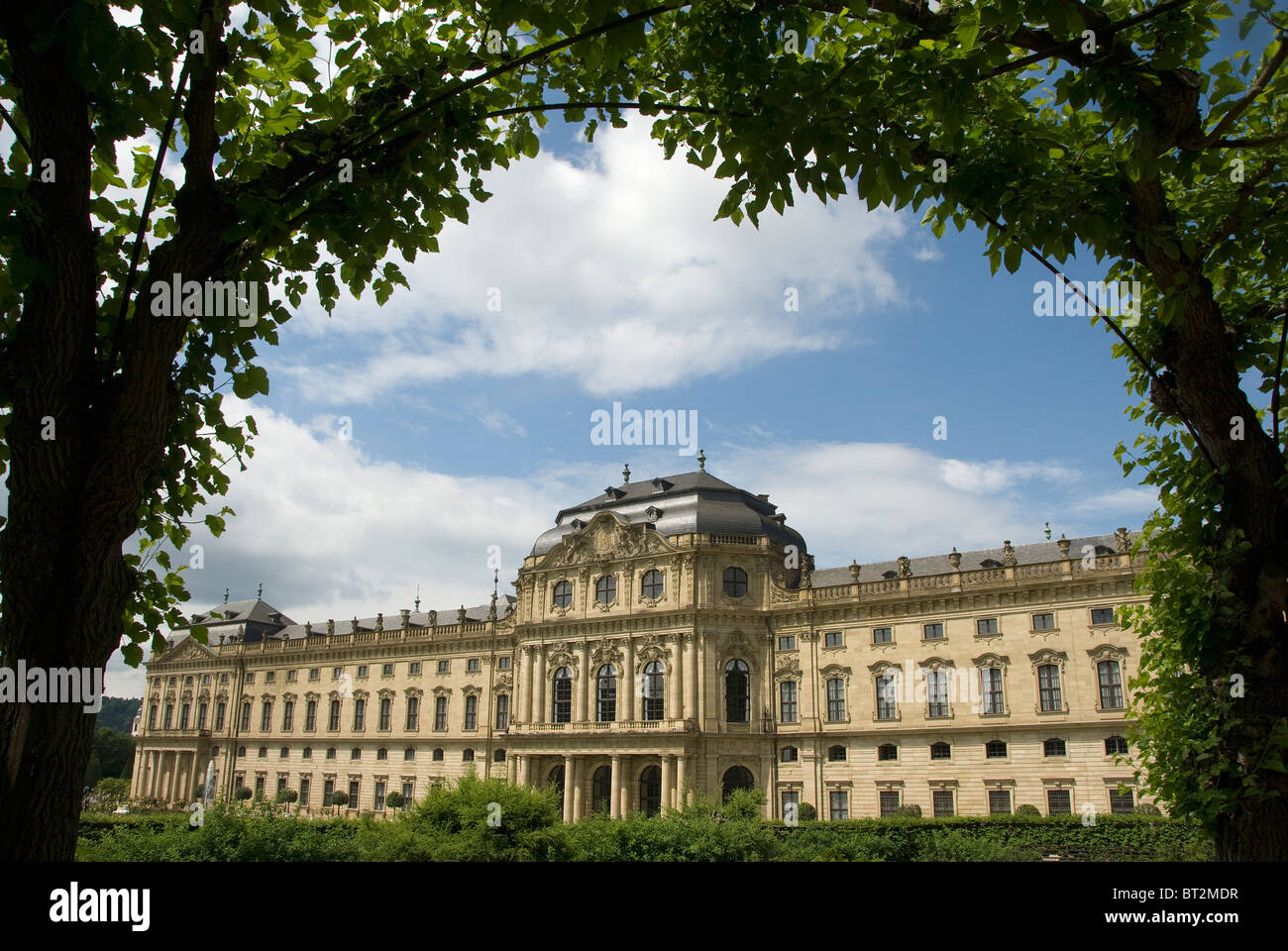 German trees hi-res stock photography and images - Alamy