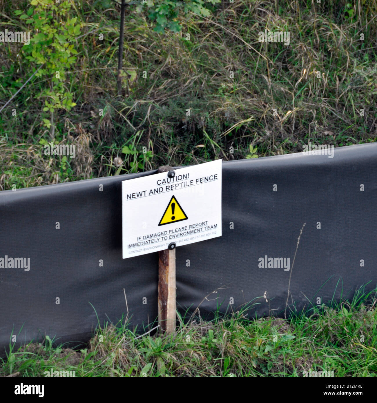 Plastic Newt reptile fencing erected on grass embankment prior to ...