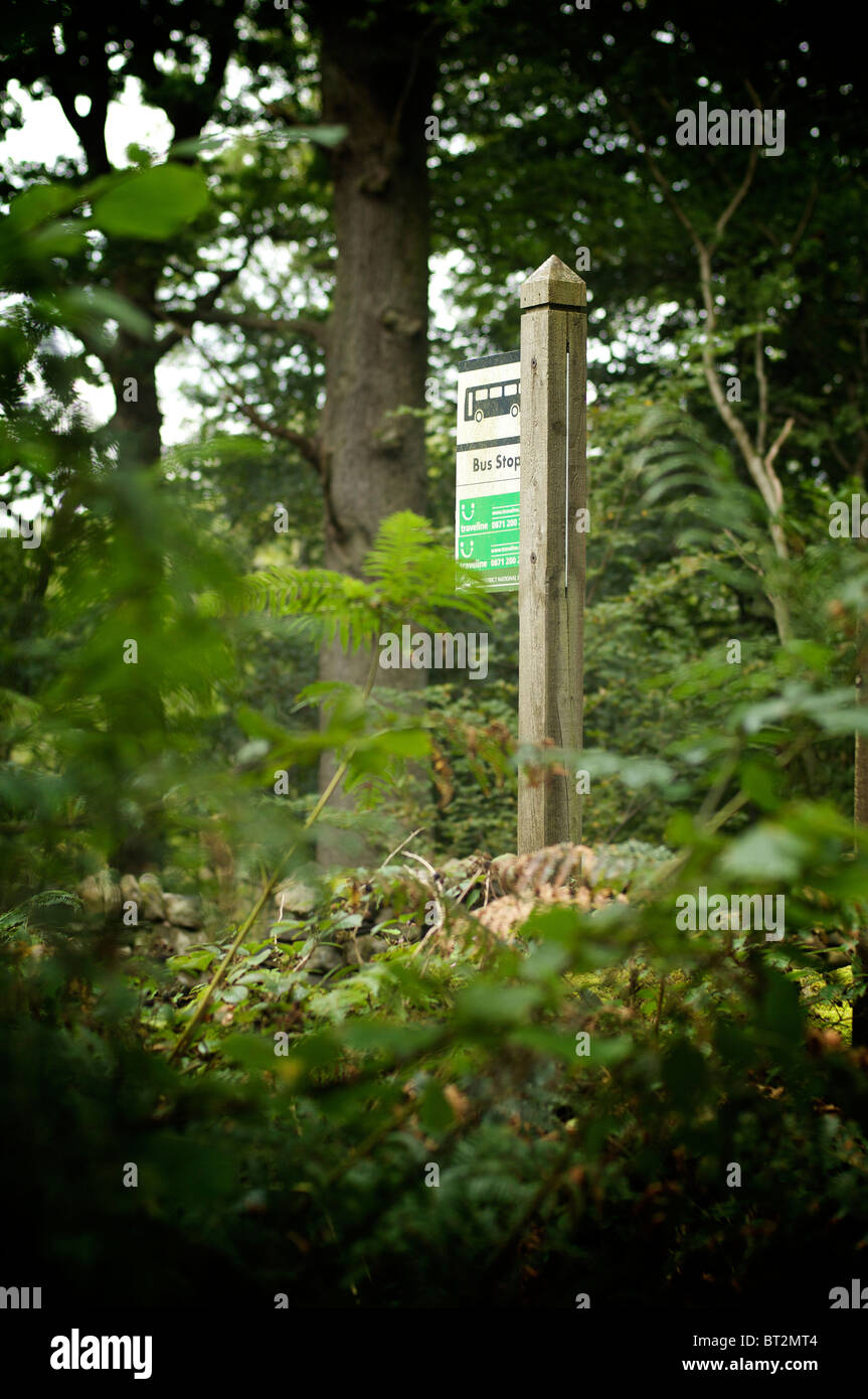 Overgrown bus stop sign hi-res stock photography and images - Alamy