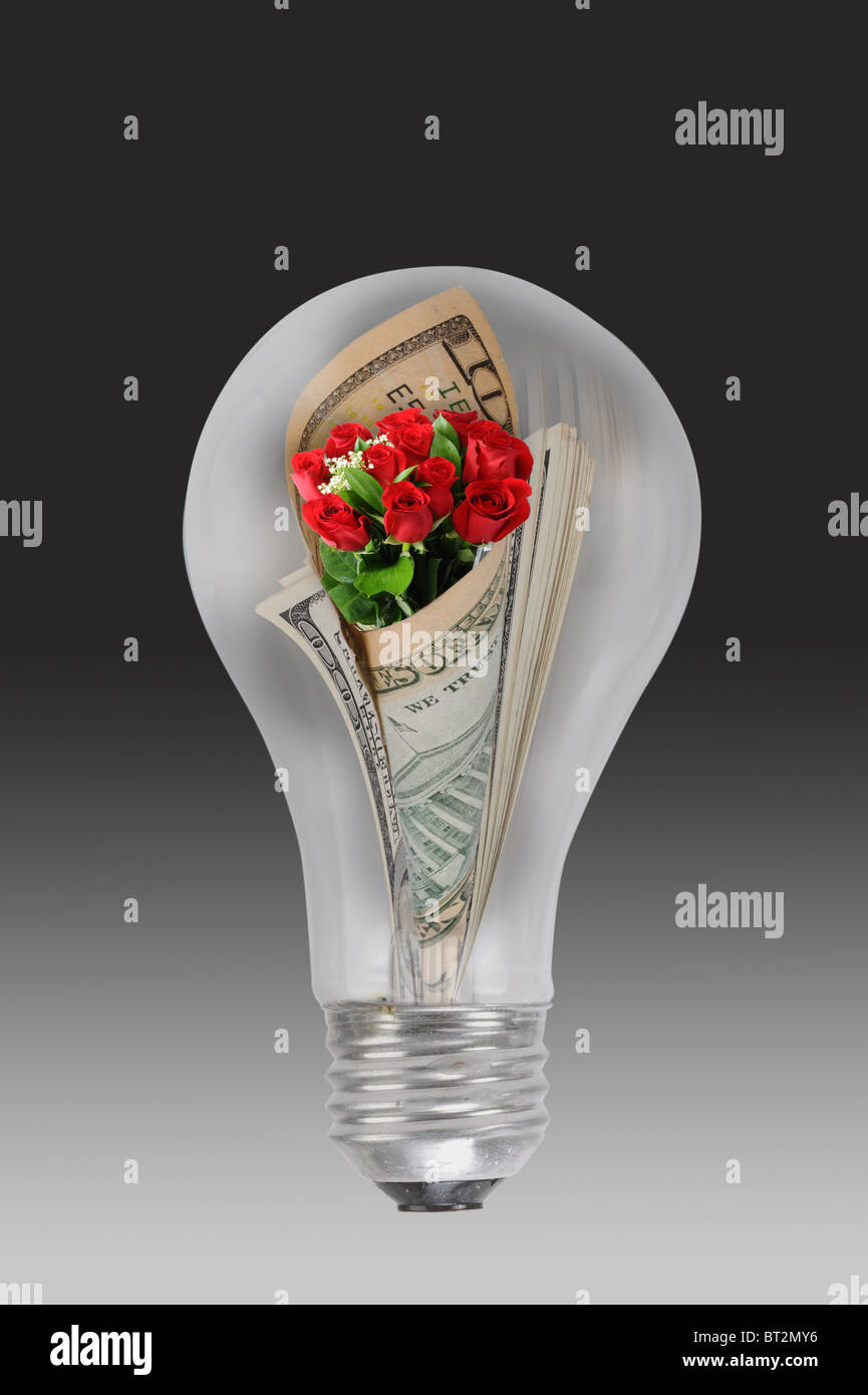 Money,rose and light bulb Stock Photo - Alamy