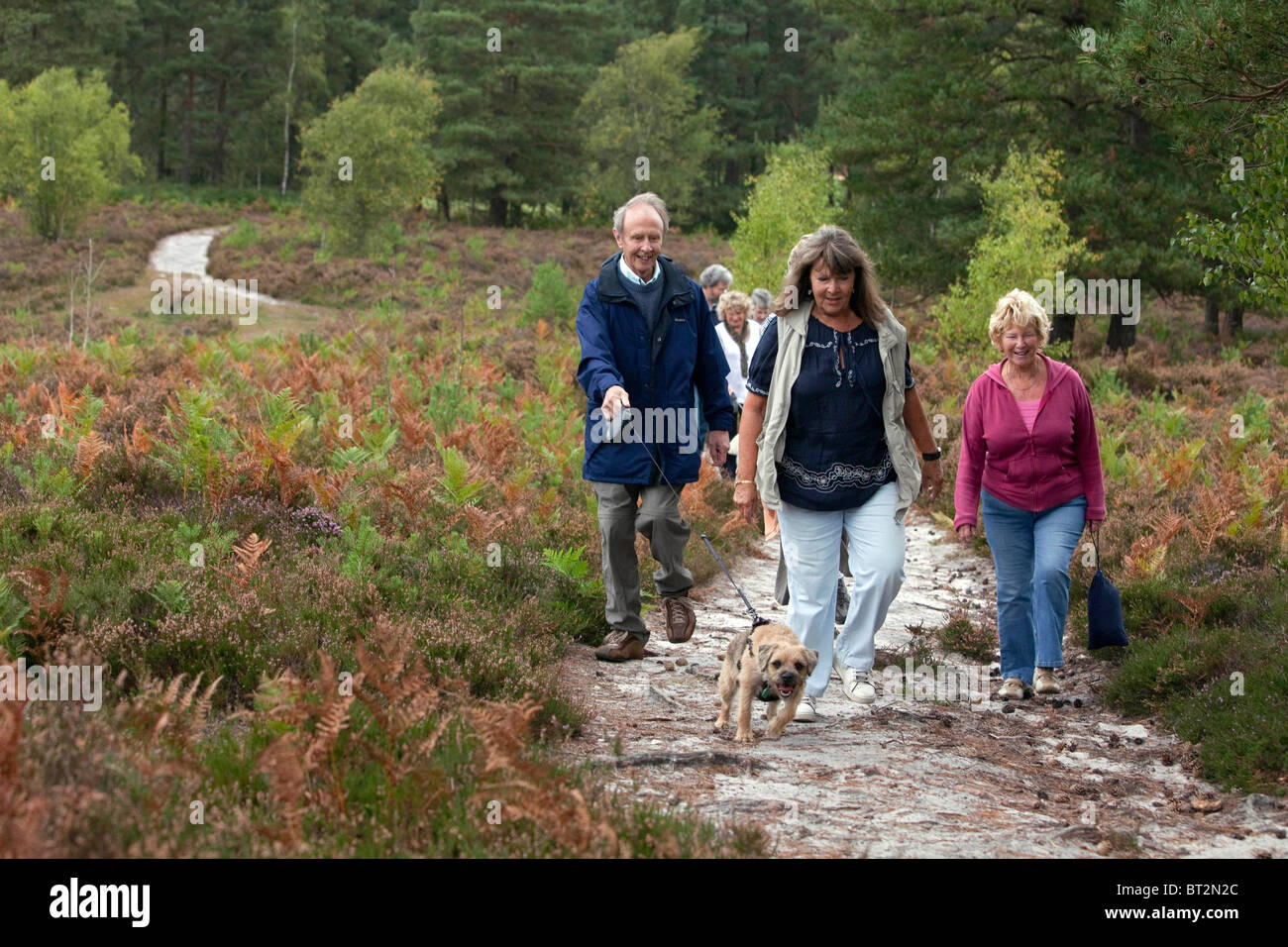 East Dorset is the place to live for longevity in the UK. Retired ...