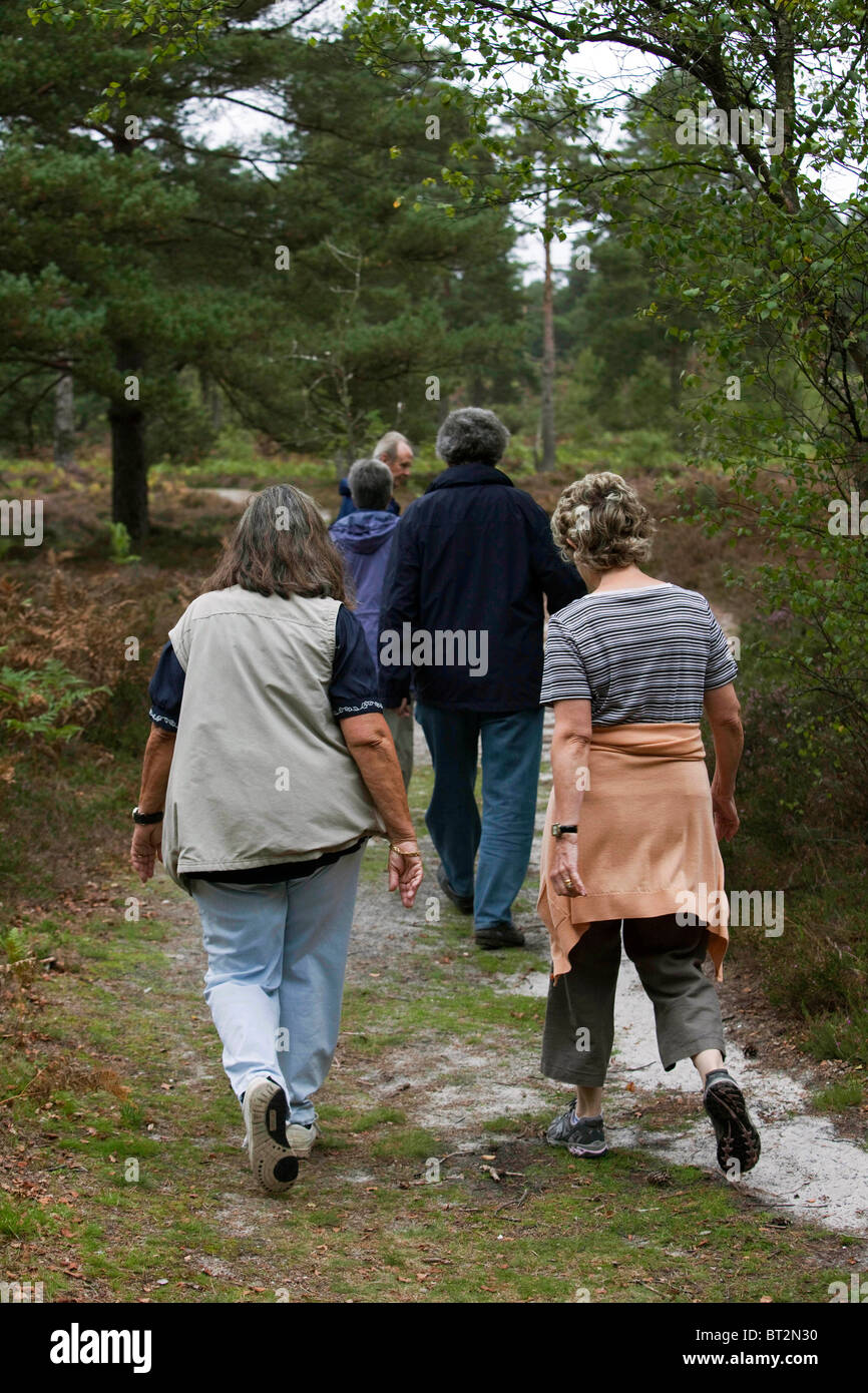 East Dorset is the place to live for longevity in the UK. Retired ...