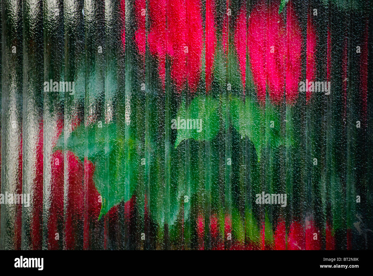 Translucent glass hi-res stock photography and images - Alamy