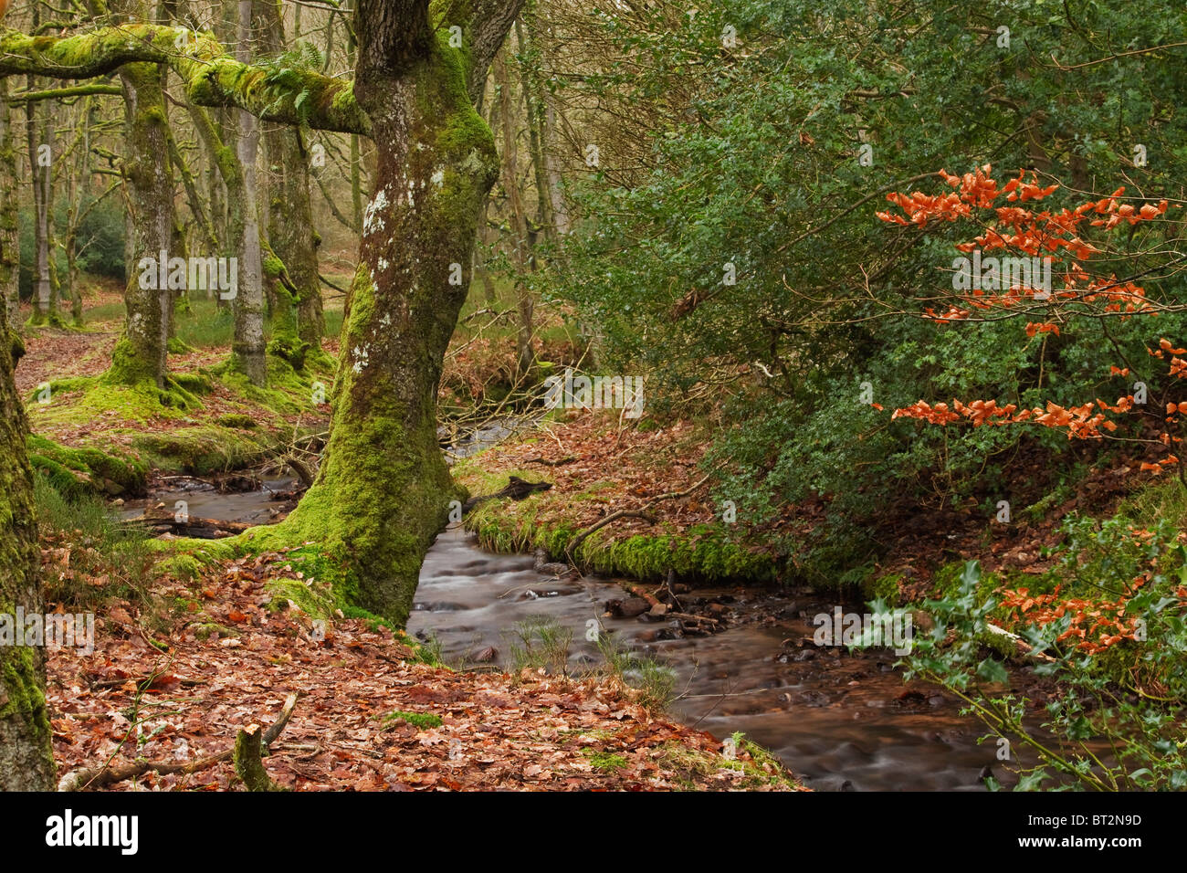 Holford hi-res stock photography and images - Alamy
