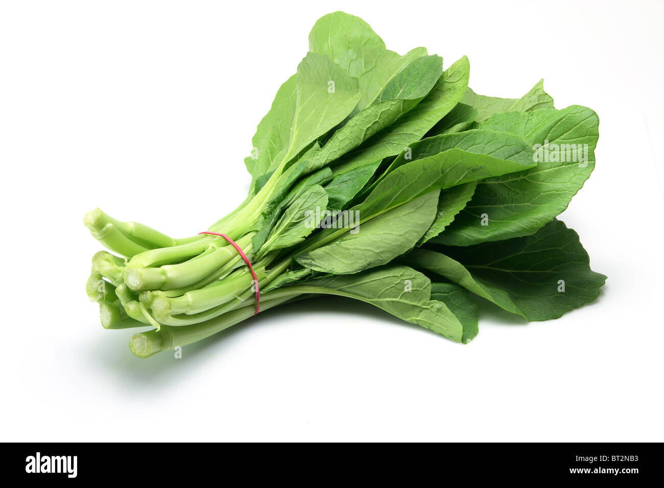 White choy sum hi-res stock photography and images - Alamy