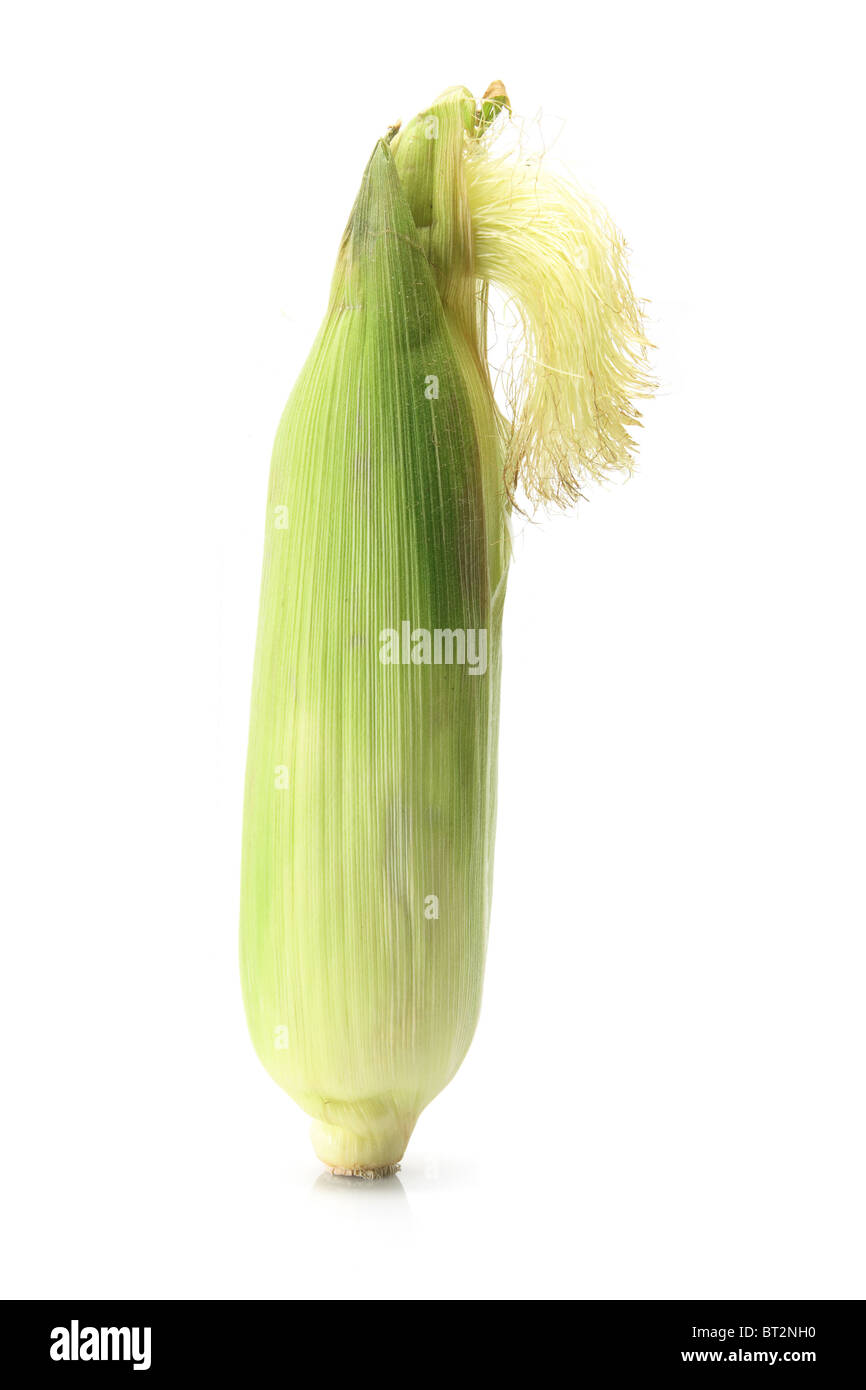 Corn cob Cut Out Stock Images & Pictures - Alamy