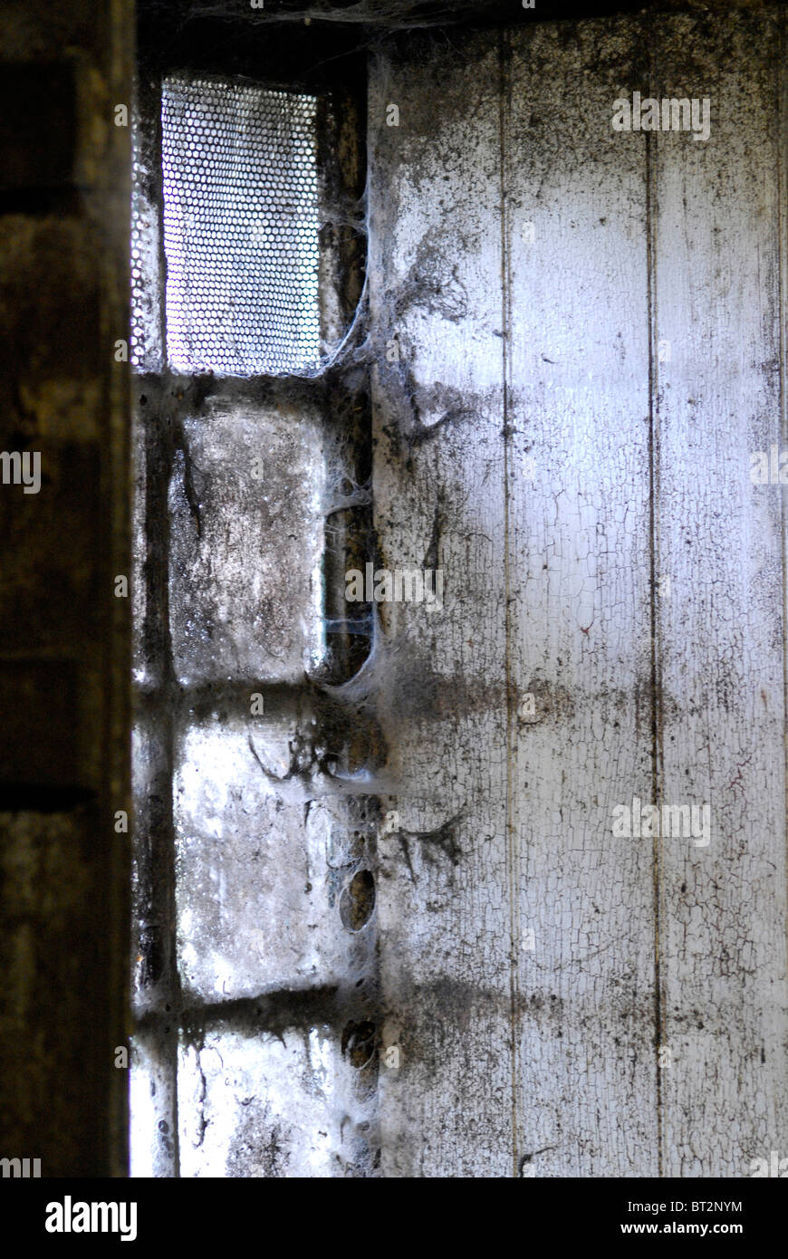 Spider webs window hi-res stock photography and images - Alamy