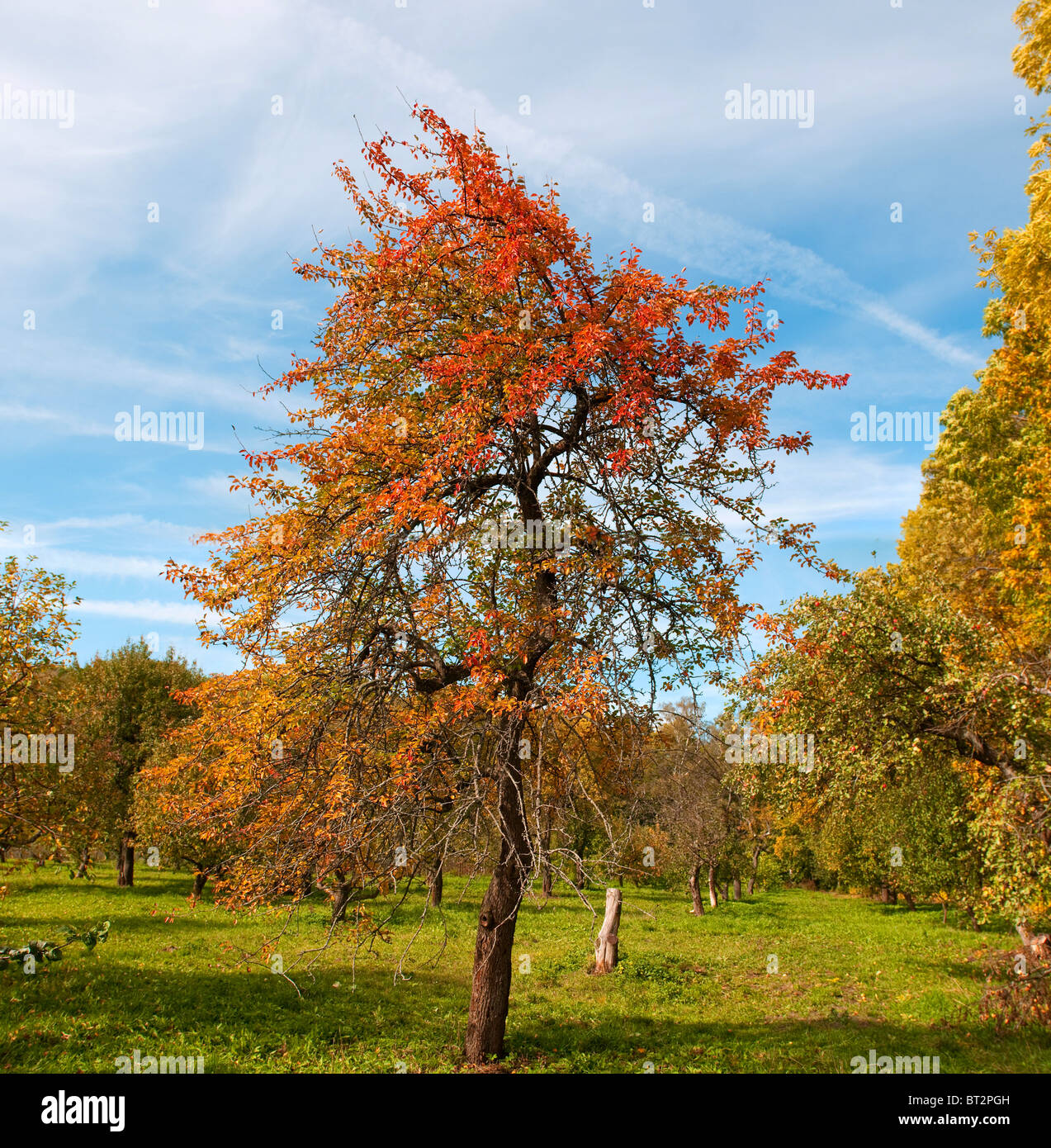 Colourfull autumn hi-res stock photography and images - Alamy