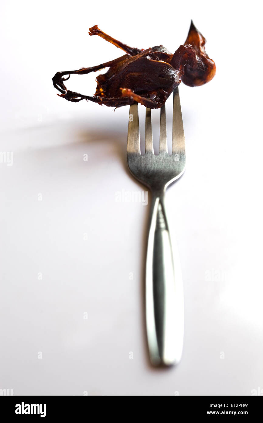 Crispy Fried Bird as Sold at Street Market in Phnom Penh Cambodia Stock ...