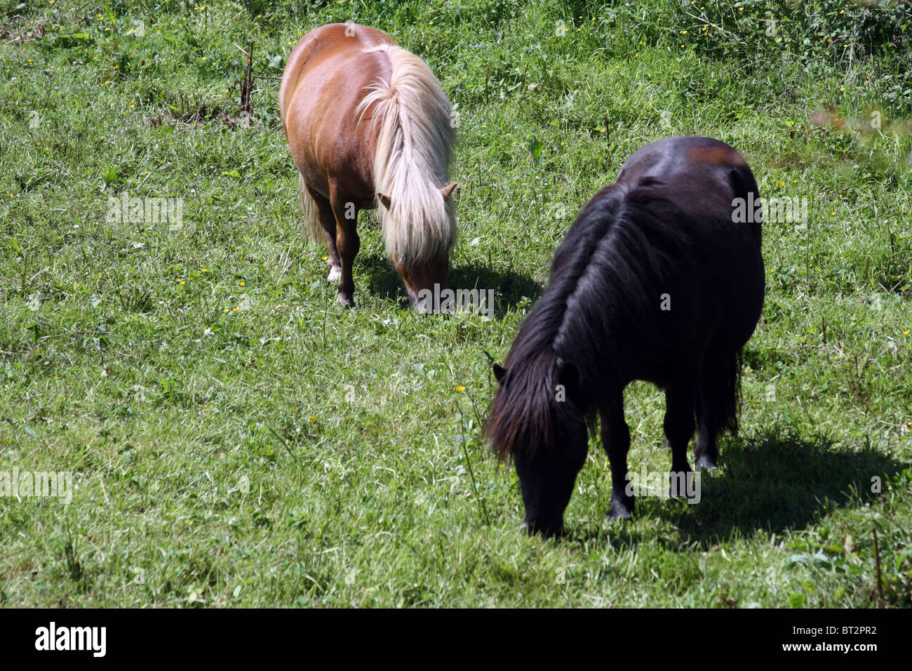 Holyhead castle hi-res stock photography and images - Alamy