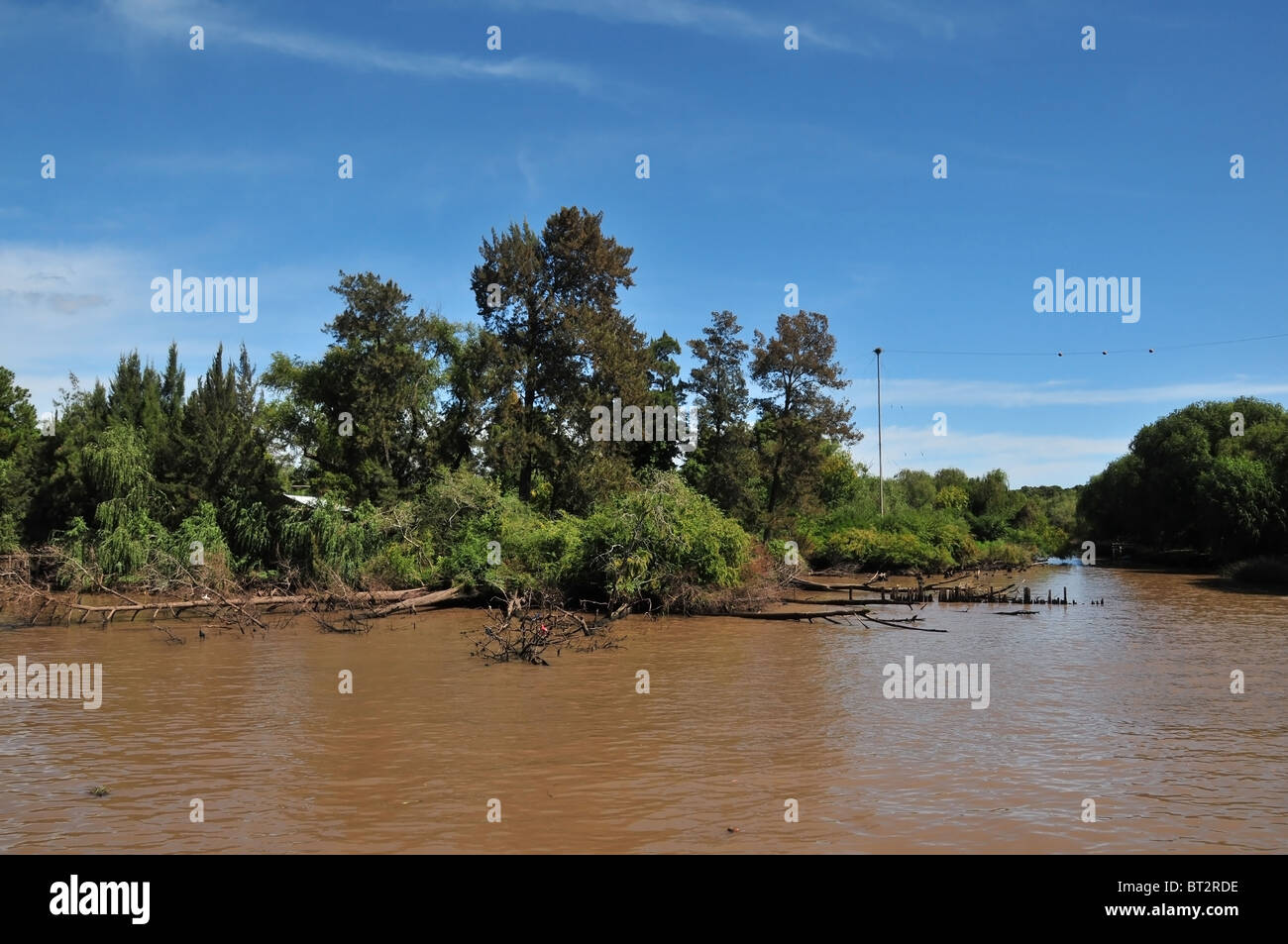 River bank 1 trees background undercutting erosion river current hi-res ...