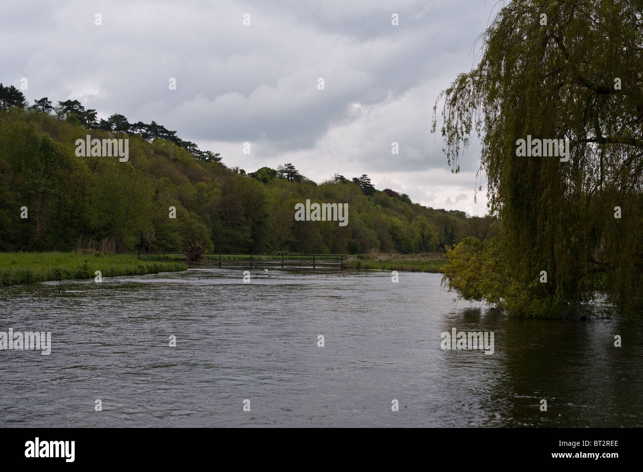 The River Test in Hampshire. The River Test is a chalk stream famous ...