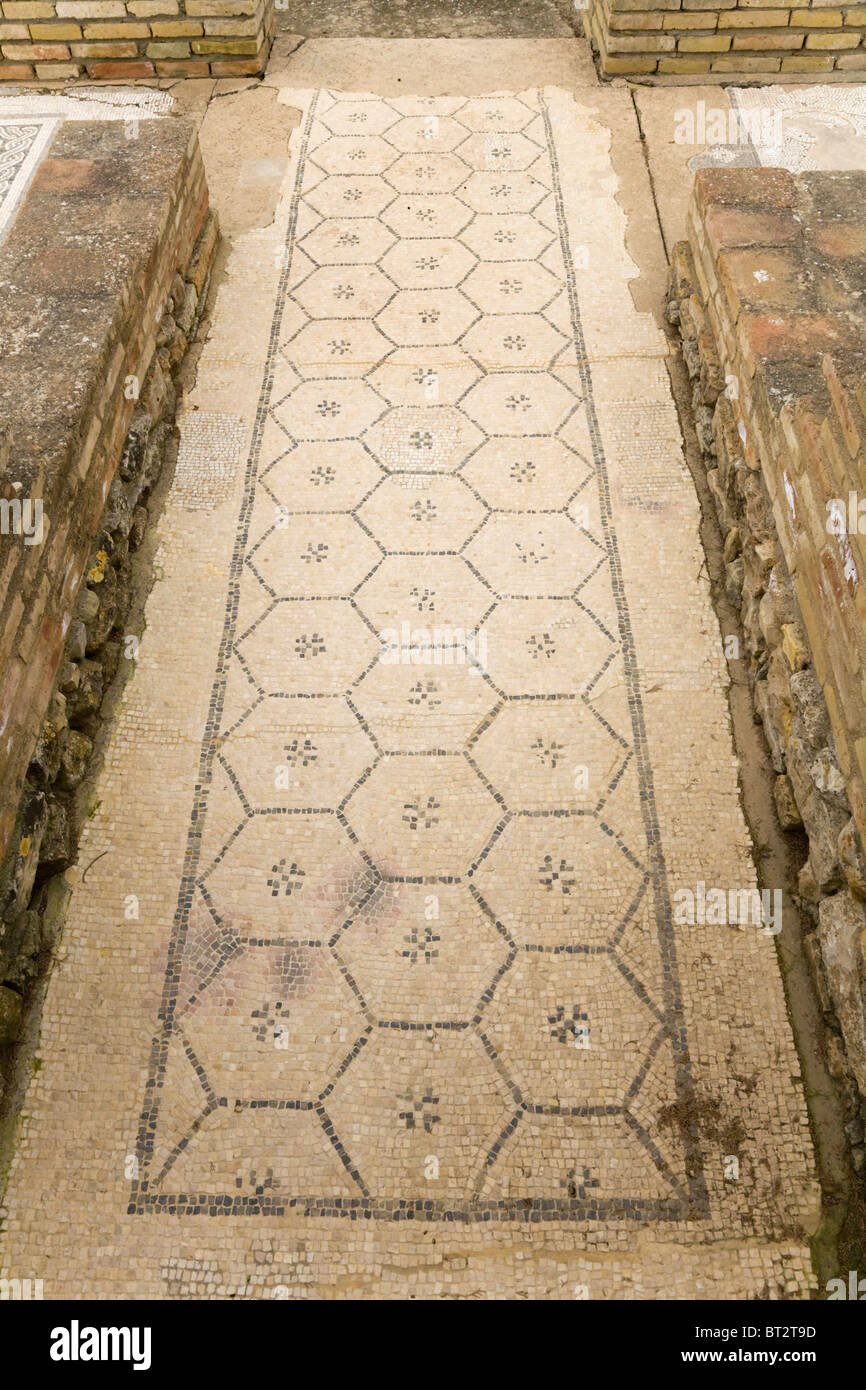 Mosaic floor on floor of a hallway / corridor in the ruined Roman city ...
