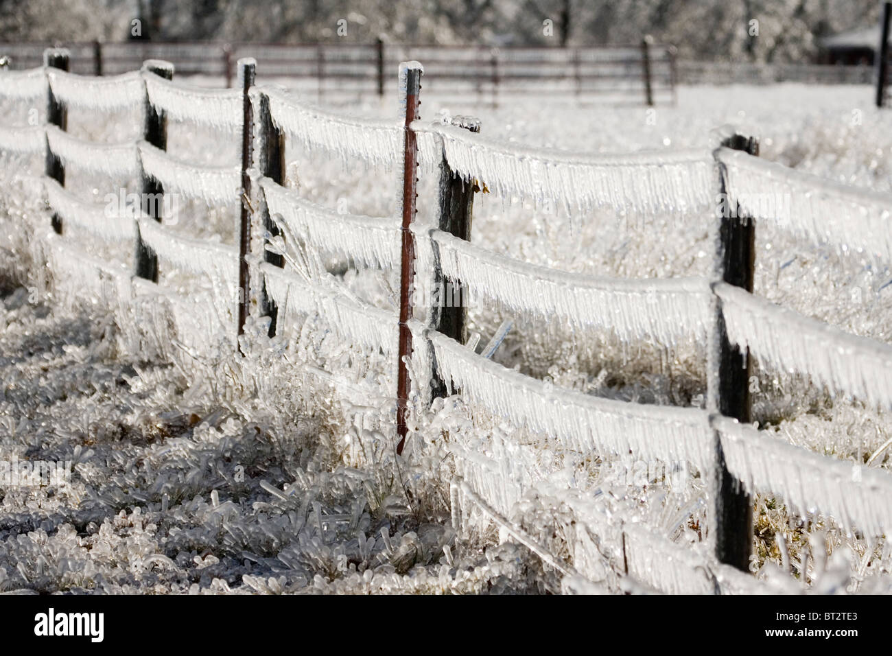 Harsh winter weather in Illinois, like this freezing rain storm ...