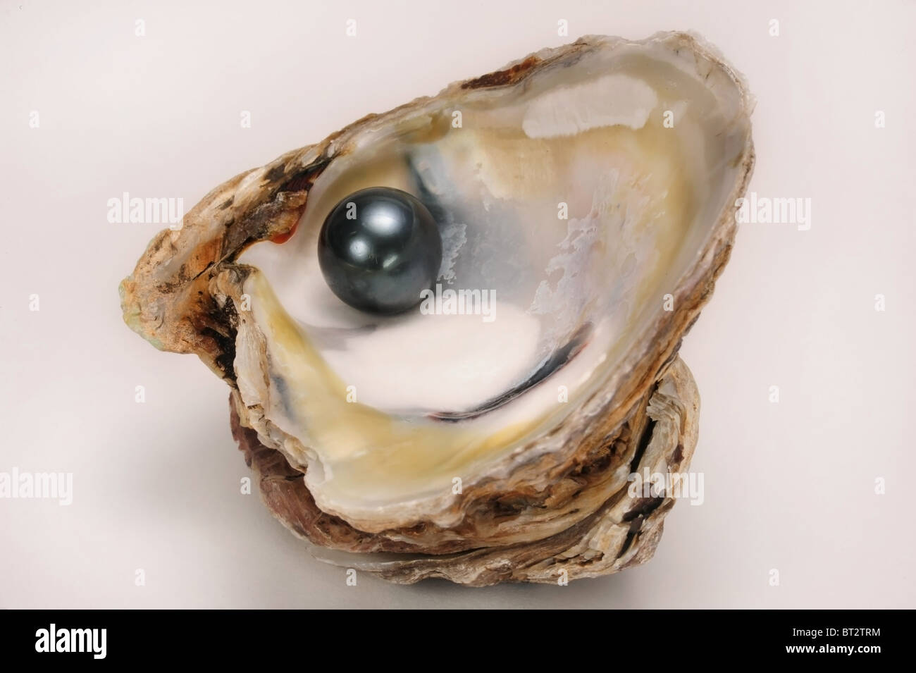 Black pearl hi-res stock photography and images - Alamy