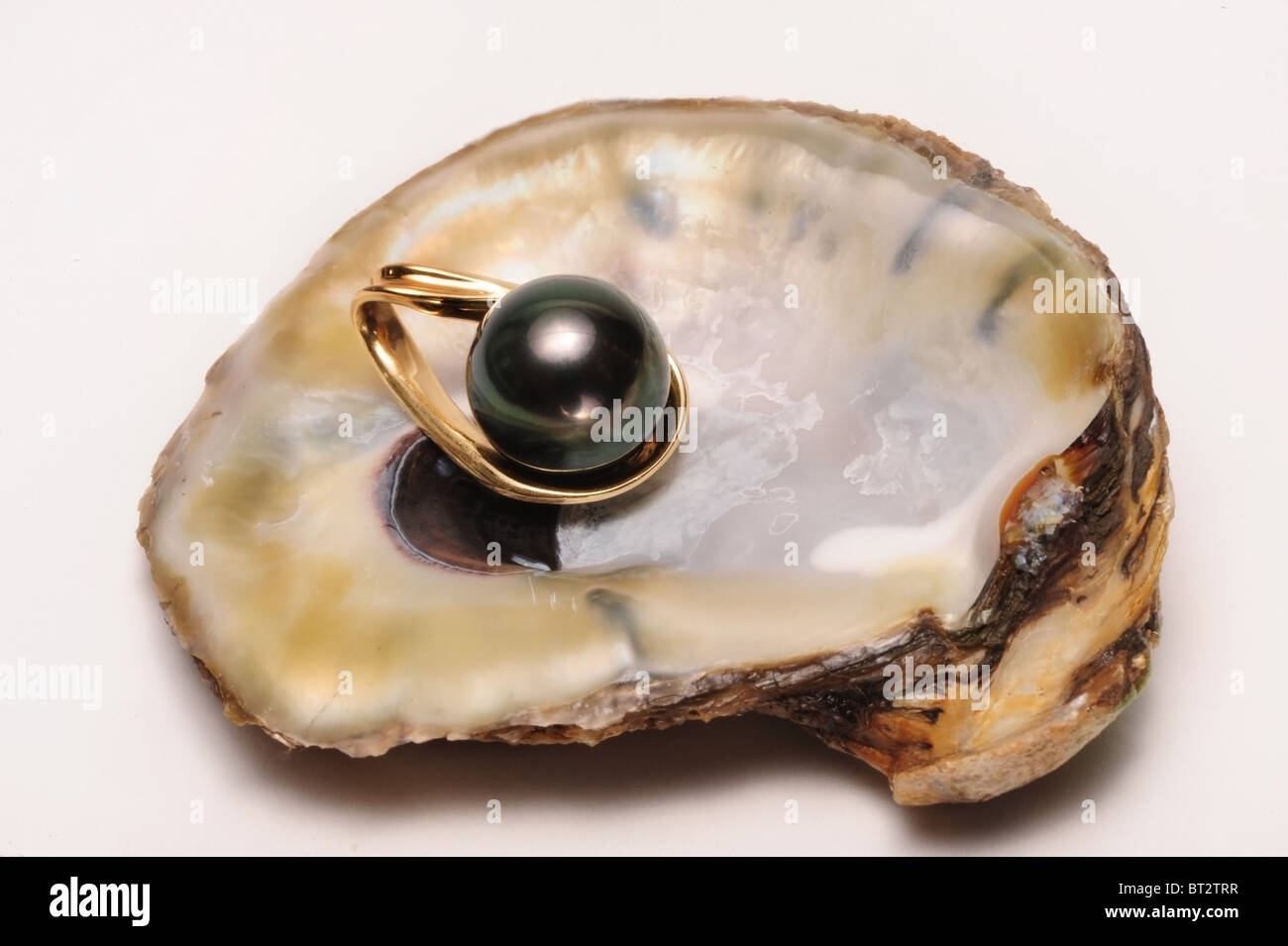 Black Tahitian Pearl Stock Photo - Alamy