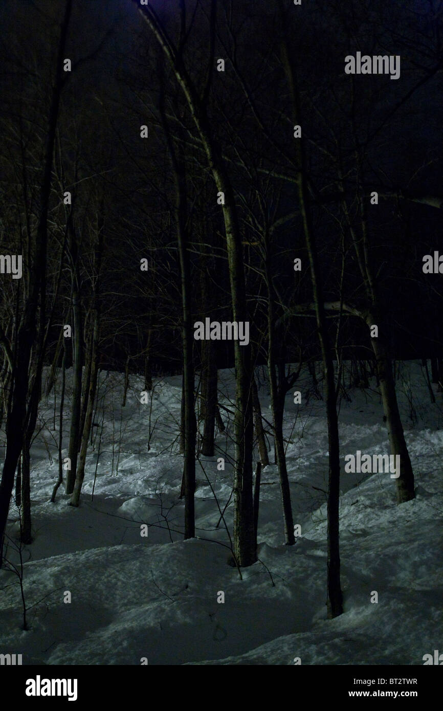 night scene on Vermont mountain, winter, cold Stock Photo - Alamy