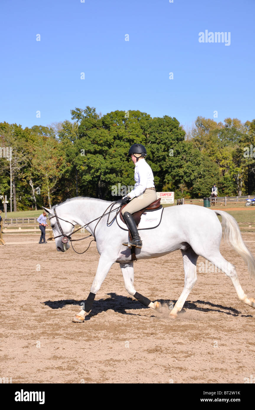 Horse riding competitions hi-res stock photography and images - Alamy