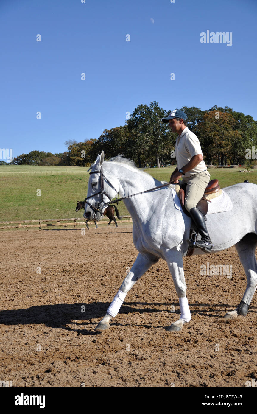 Man riding horse, Tyler, Texas, USA Stock Photo - Alamy