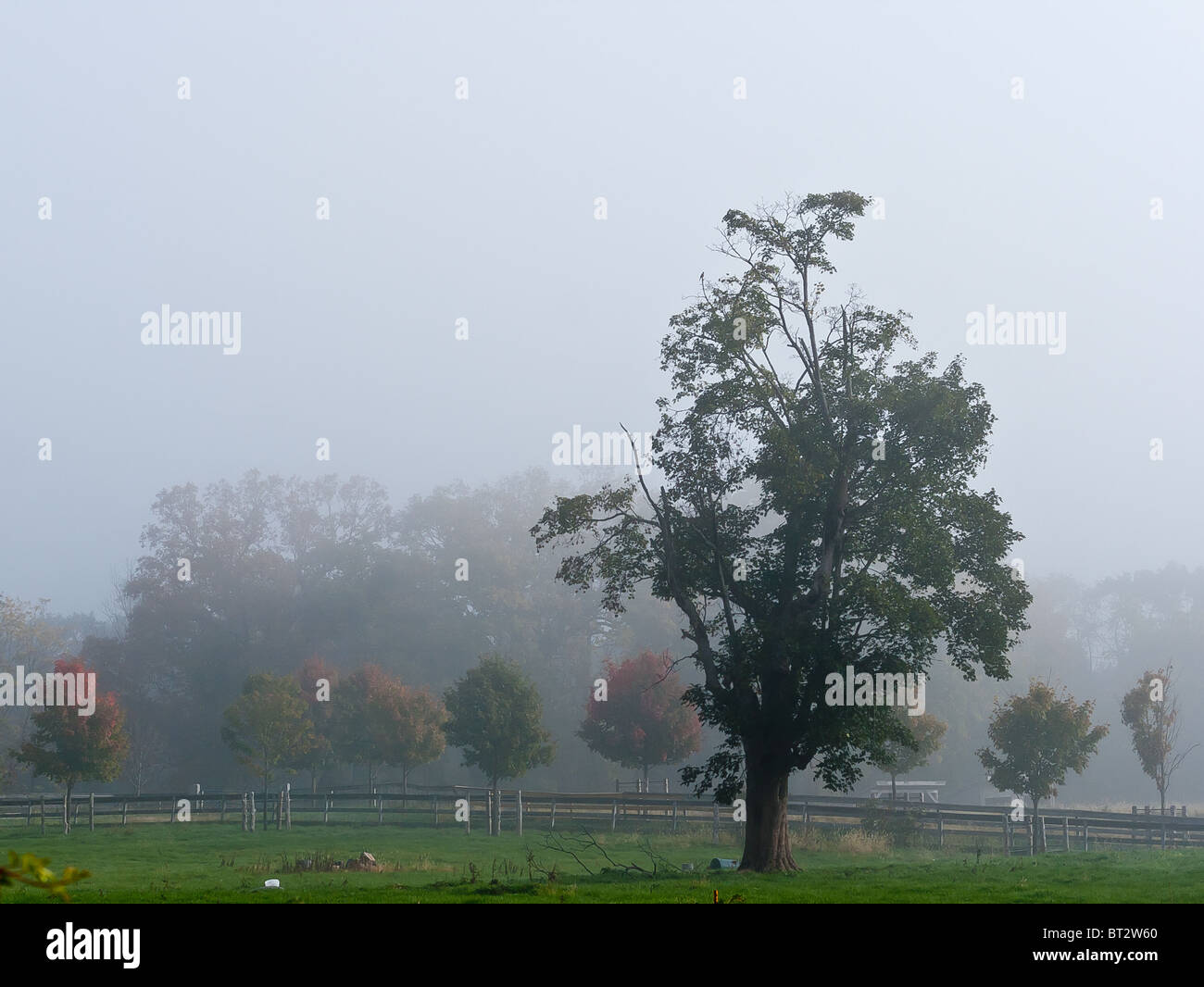 Early Fall Morning Stock Photo - Alamy