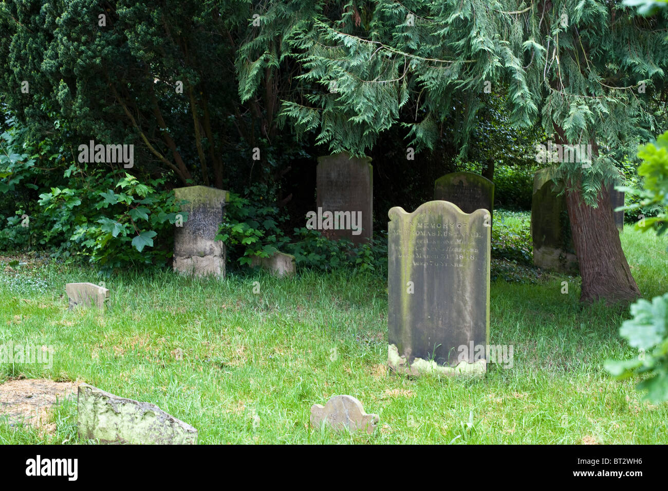 Gravestones at Oak Lane Cemetery in Twickenham Stock Photo - Alamy
