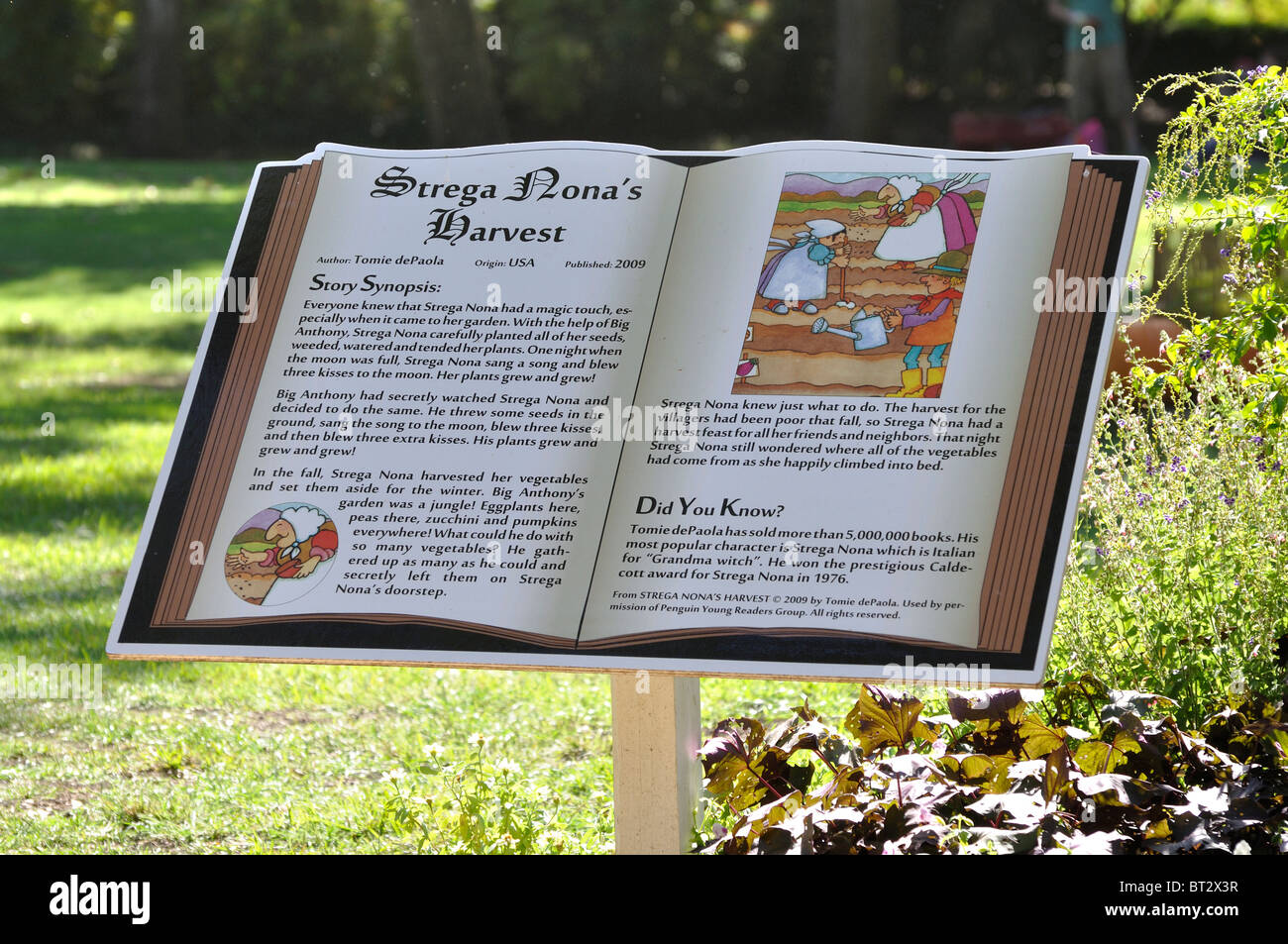 Fairy Photography Dallas