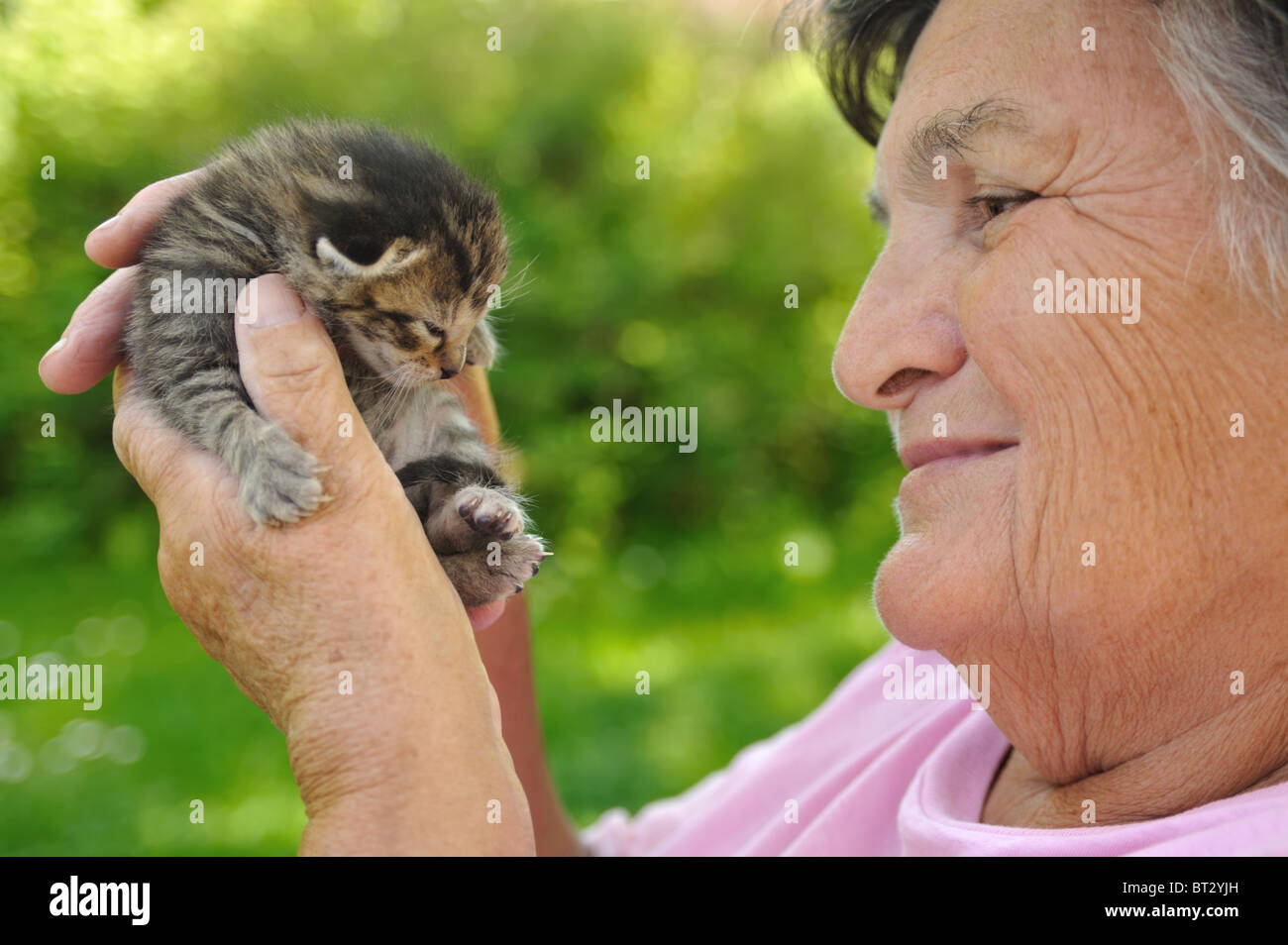 Senior woman holding kitten – outdoor Stock Photo - Alamy