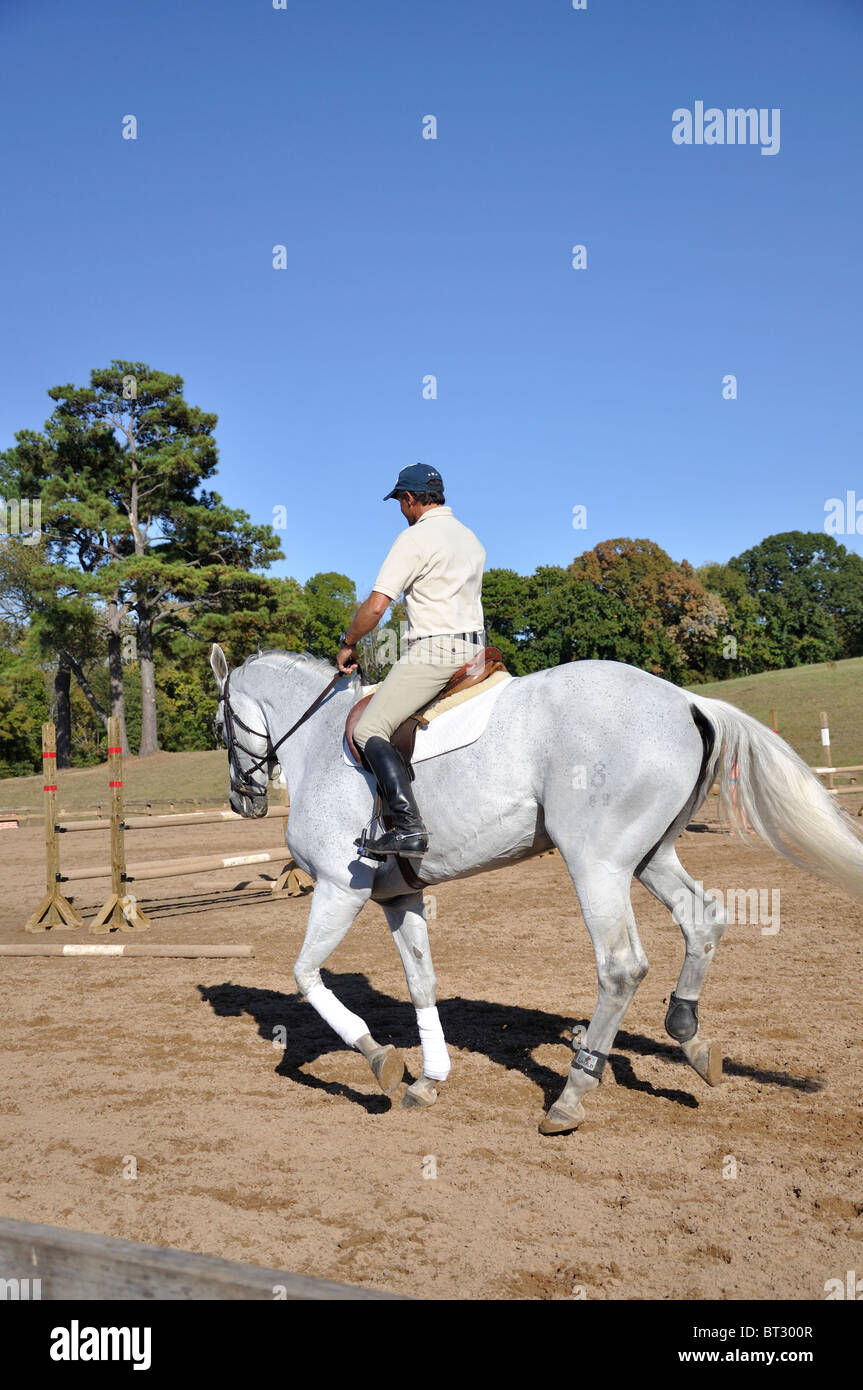 Horse rider tyler hi-res stock photography and images - Alamy