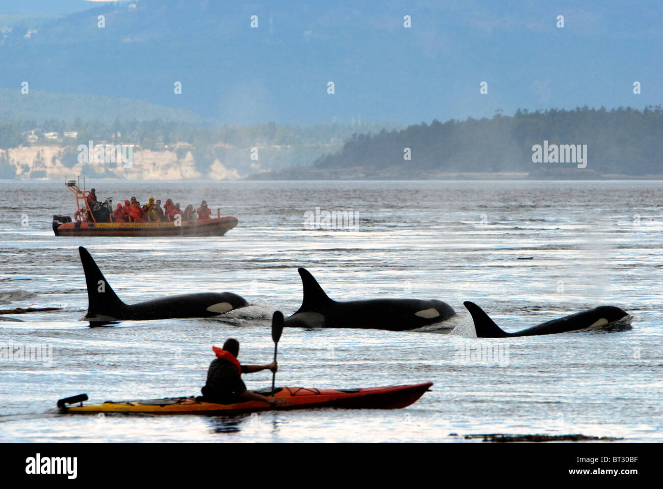 Fragile environment hi-res stock photography and images - Alamy