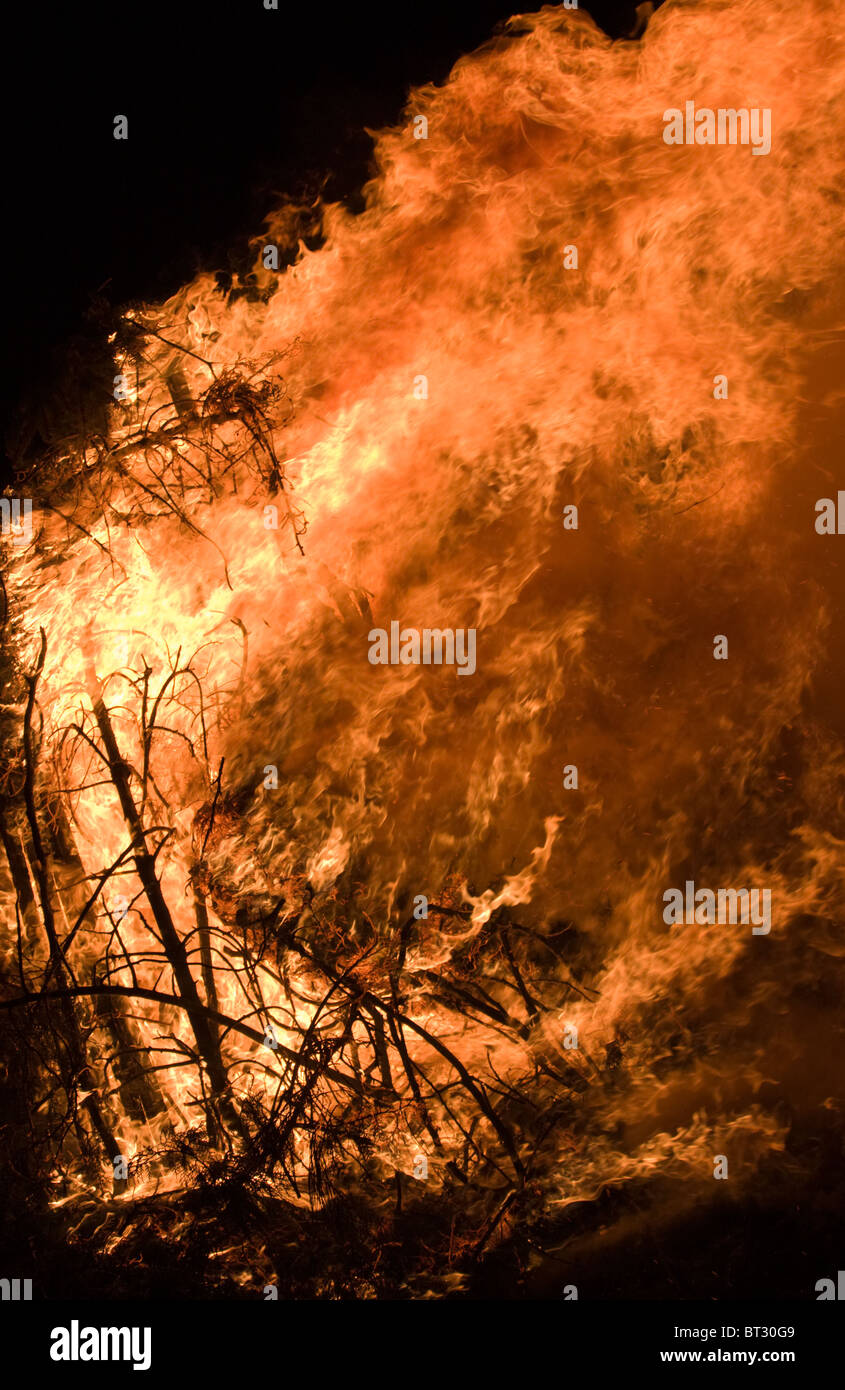 Closeup blazing fire dry forest hi-res stock photography and images - Alamy
