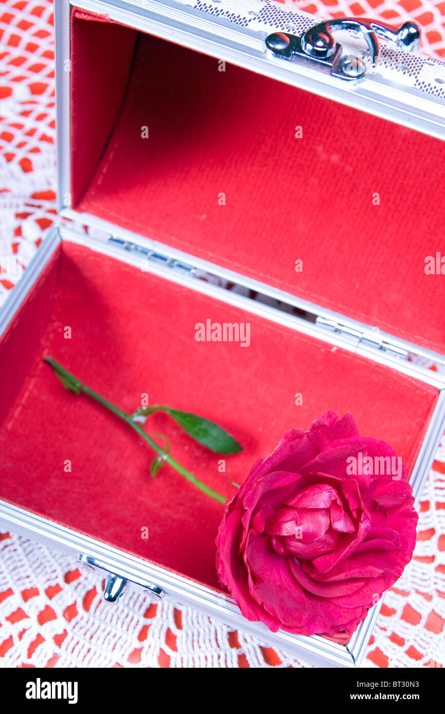 red roses in the box Stock Photo - Alamy
