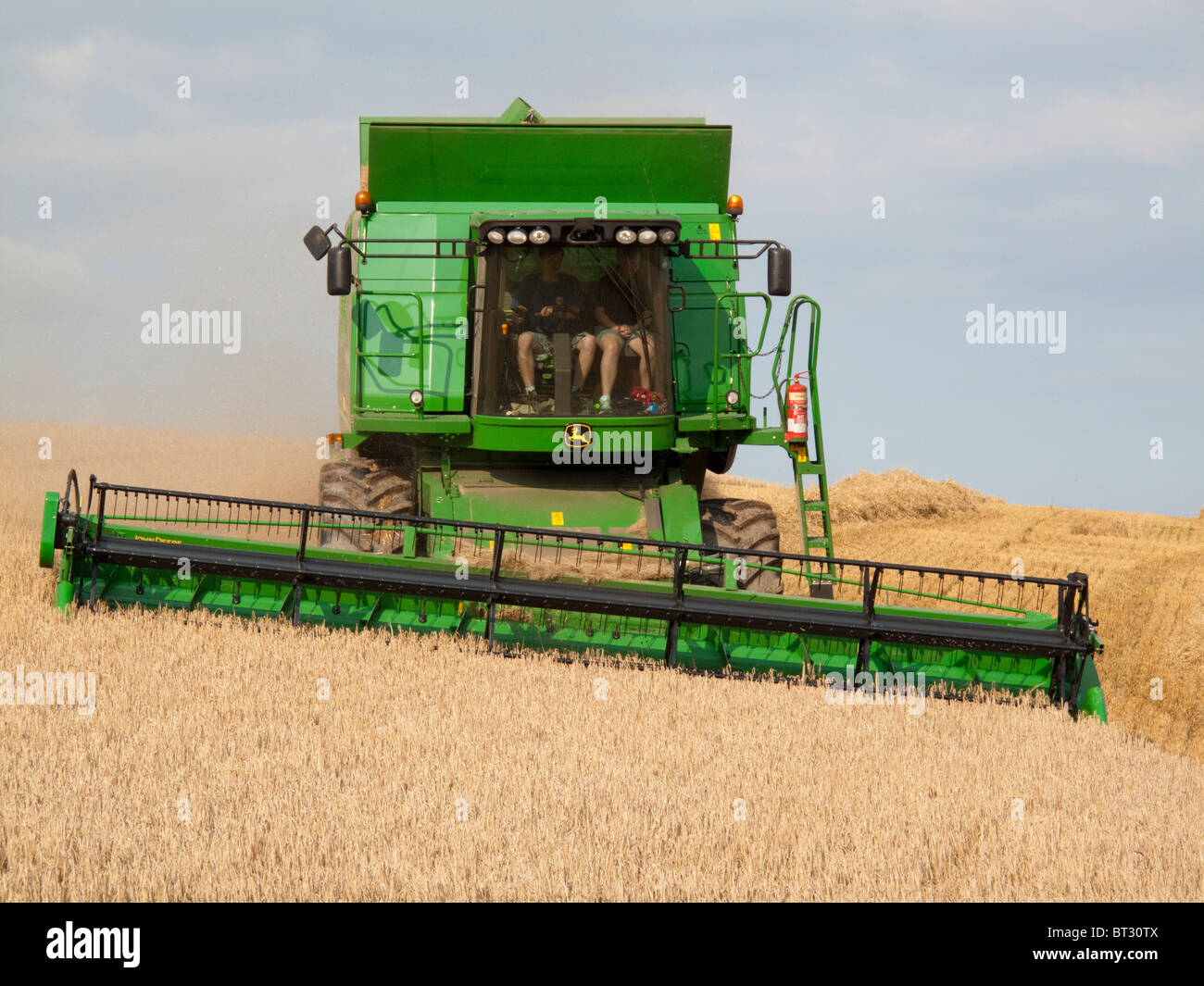 Wheat harvest at Enford farm. Combine Harvester with tilting grain ...
