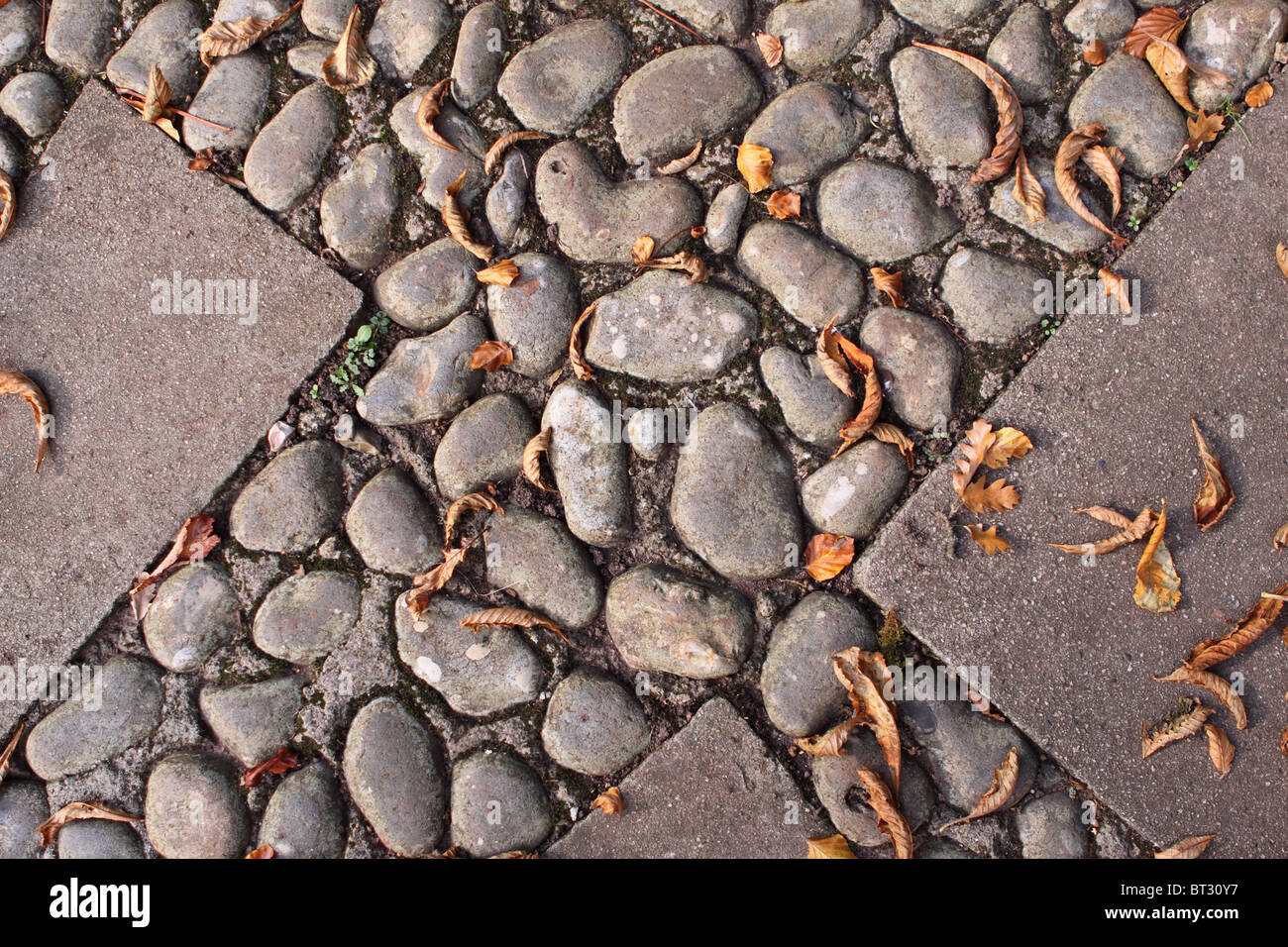 Garden path paving cobble pebbles and concrete paving slabs contrast ...