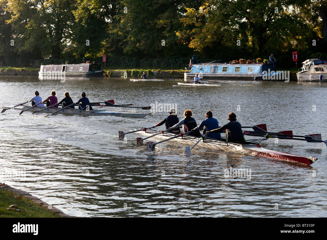 College rowing on the Thames at Oxford, Autumn 7 Stock Photo - Alamy