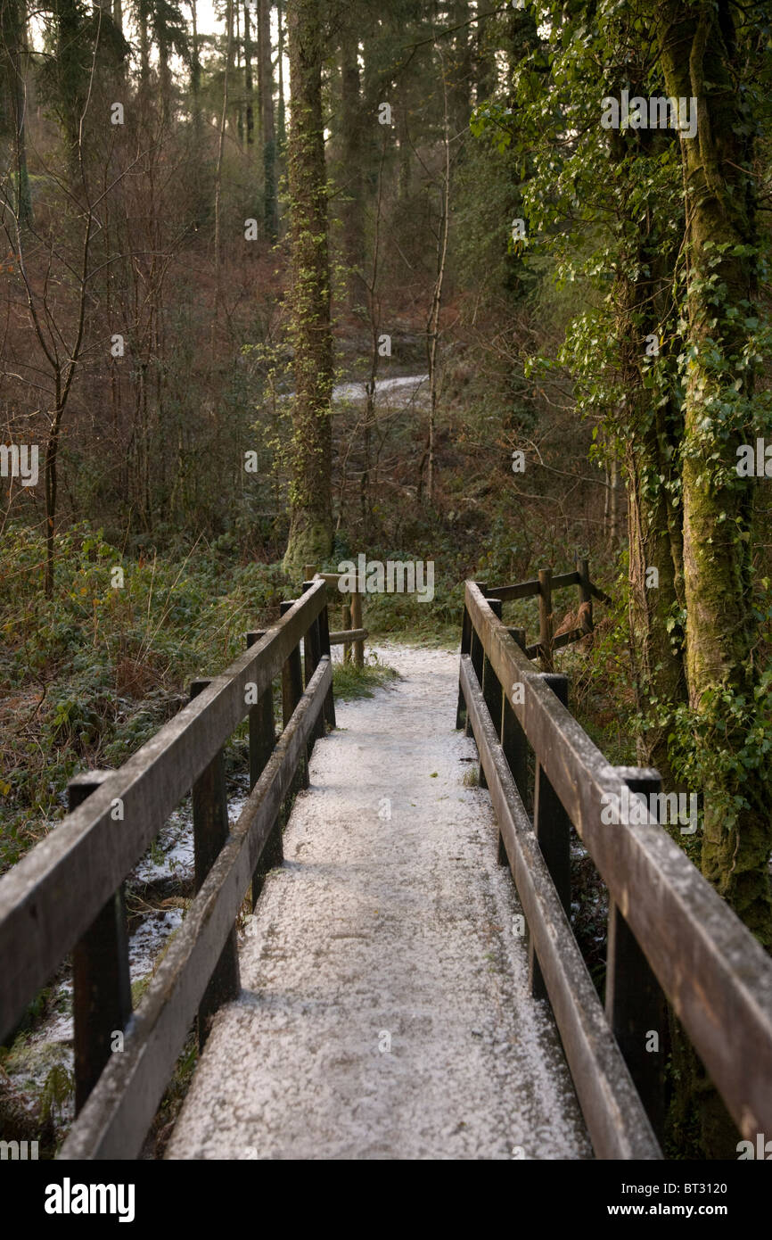 Doublebois hi-res stock photography and images - Alamy