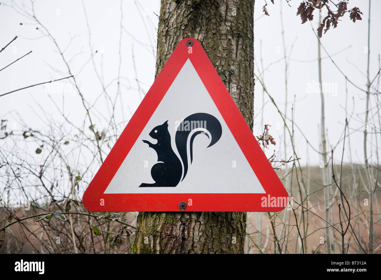 Red squirrel warning sign hi-res stock photography and images - Alamy