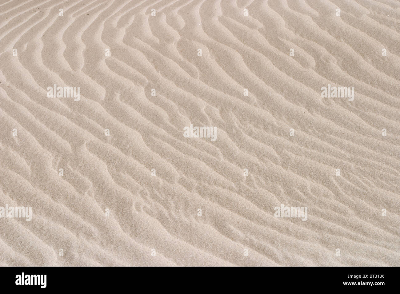 Saltation hi-res stock photography and images - Alamy