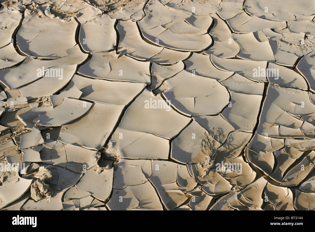 Dry parched cracked earth at base of sand dunes at Mintrib on the edge ...