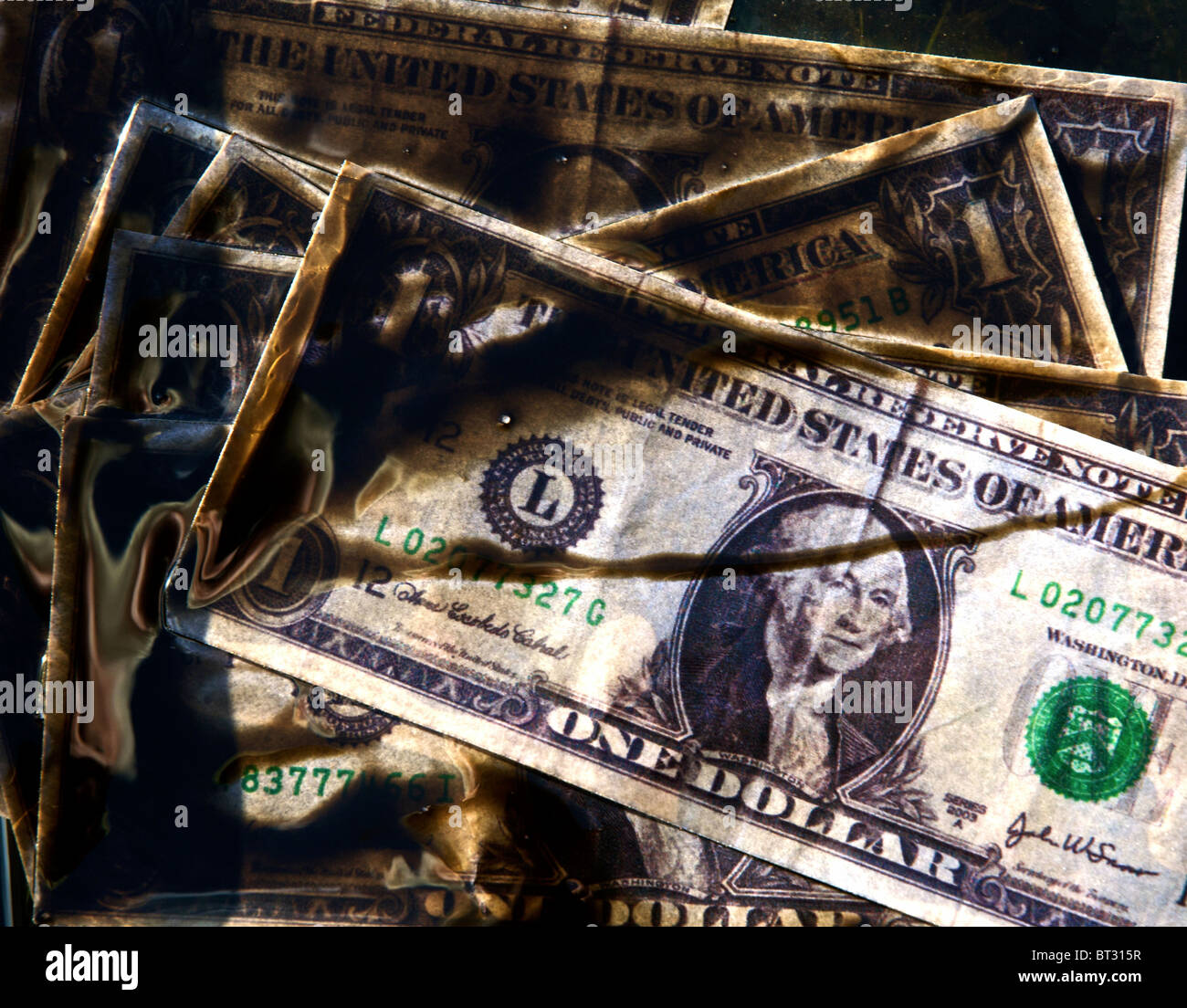 Dirty money oil dollars - dollar bills in crude oil Stock Photo - Alamy