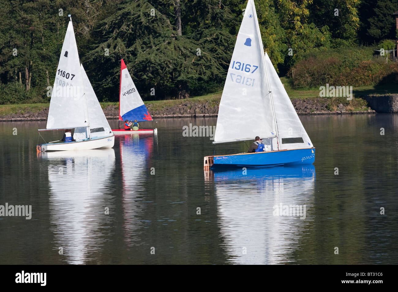 Small sailing dinghies on a reservoir Stock Photo - Alamy