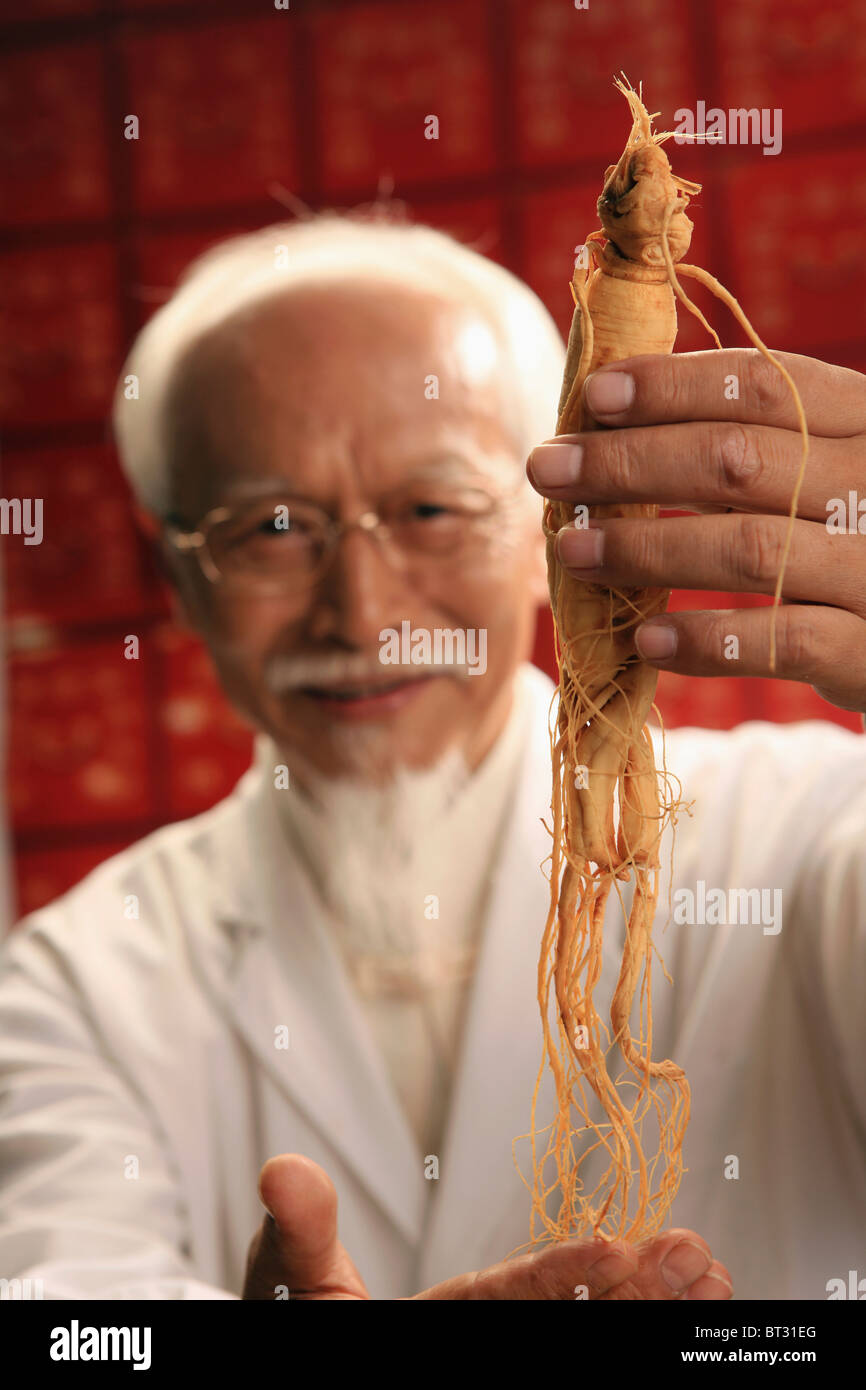 Male doctor holding ginseng Stock Photo - Alamy