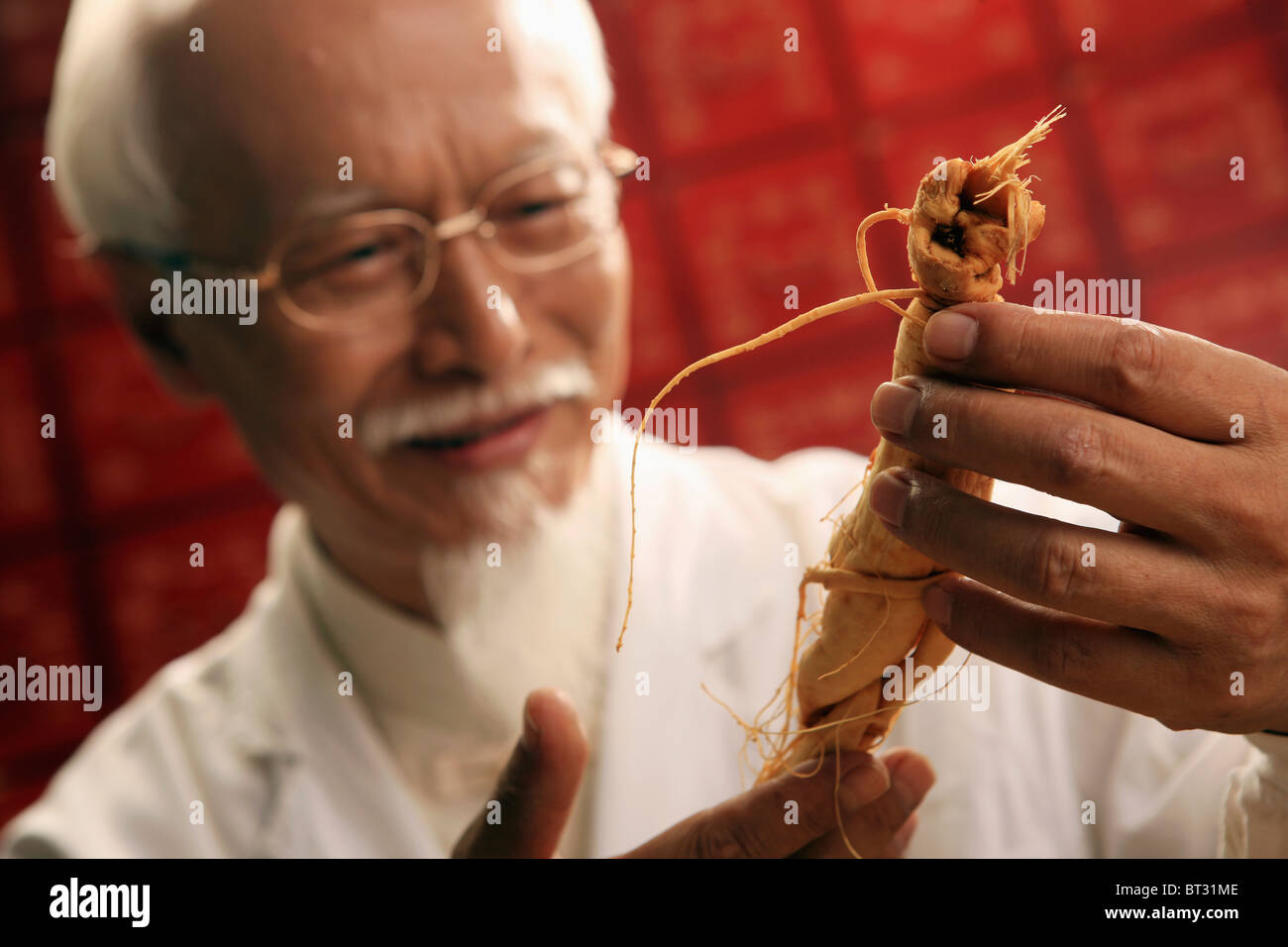 Male doctor holding ginseng Stock Photo - Alamy