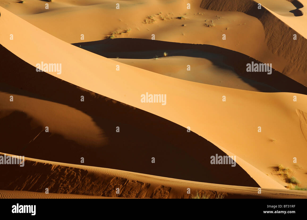 Sand dunes and amazing desert shapes and scenery in Erg Chebbi Stock ...