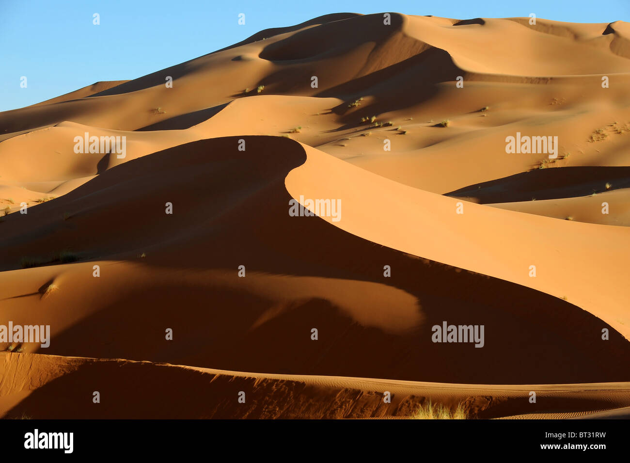 Sand dunes and amazing desert shapes and scenery in Erg Chebbi Stock ...