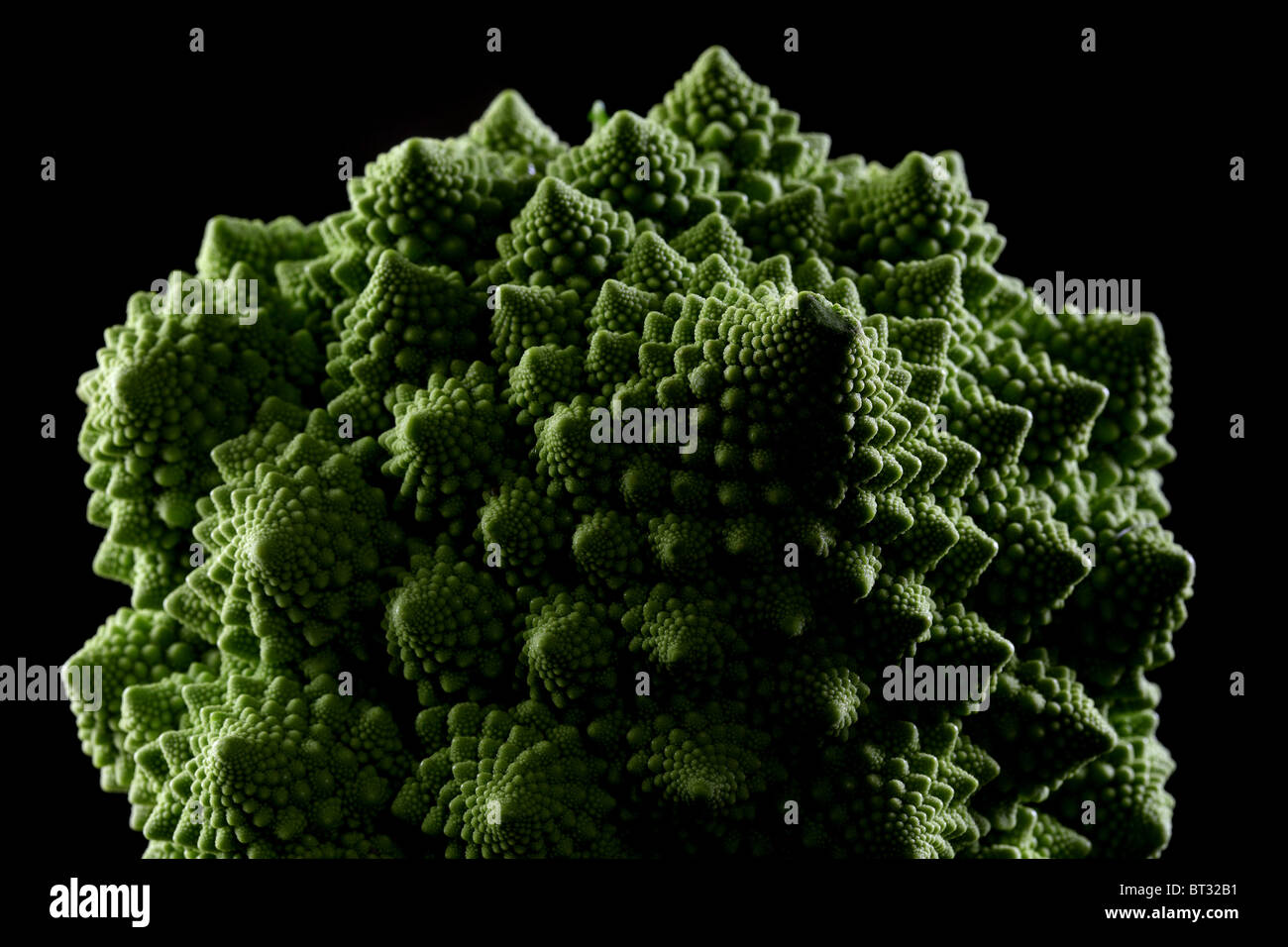 Roman Romanesco cauliflower Stock Photo - Alamy