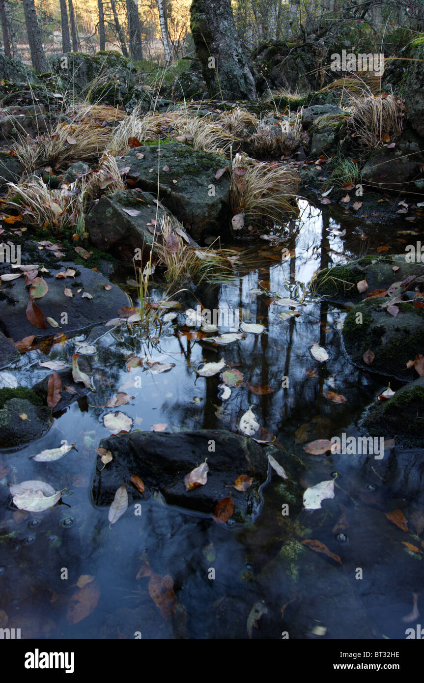 Rock brook hi-res stock photography and images - Alamy