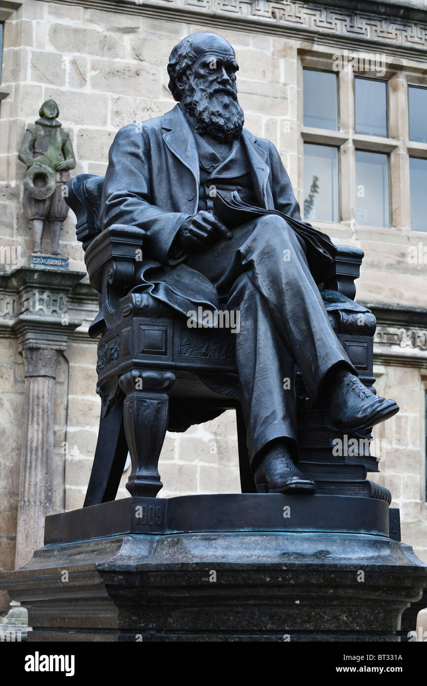 Statue of Charles Darwin outside Shrewsbury public library (formerly ...
