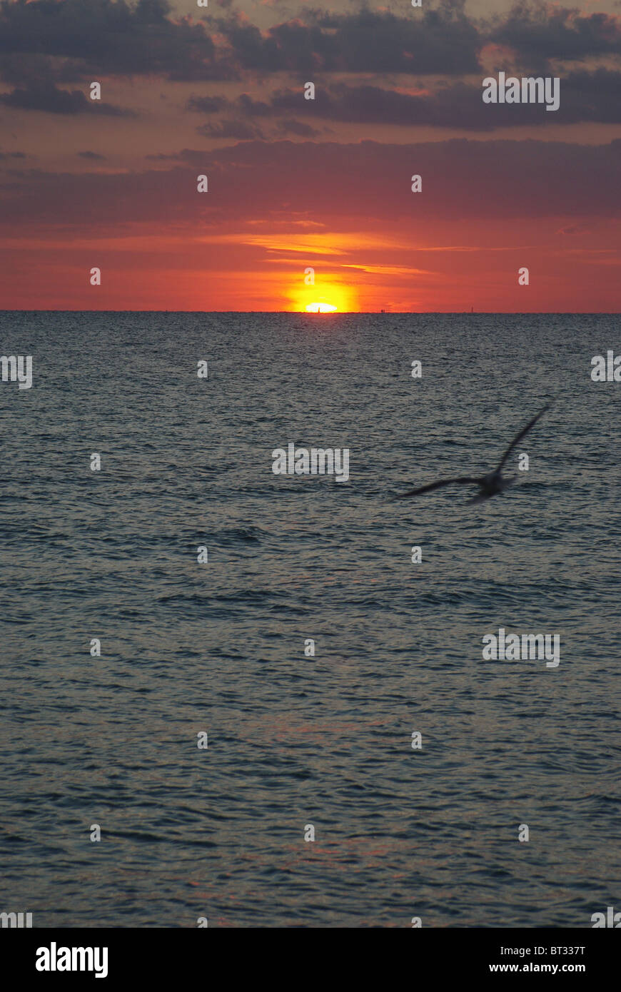 Morning seascape view in Miami Beach, Florida Stock Photo - Alamy