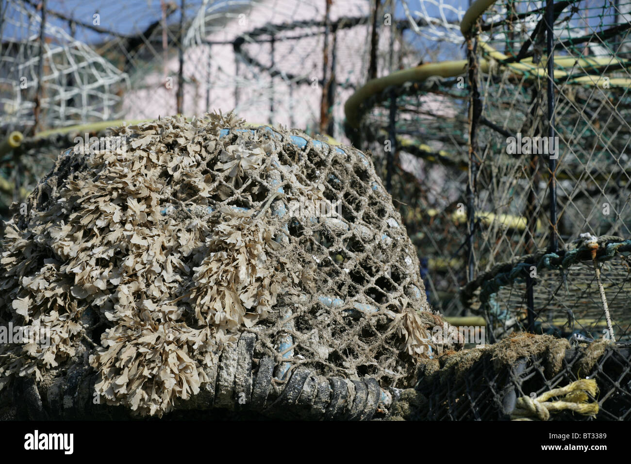 old crab fishing crates stored on land Stock Photo - Alamy