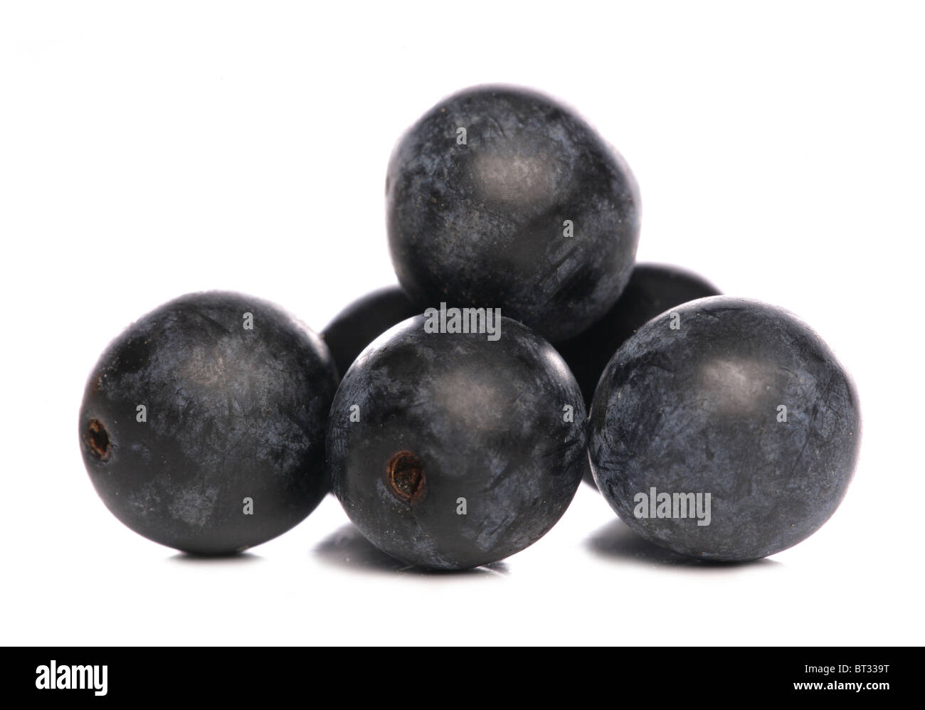 slow berries isolated studio cutout Stock Photo - Alamy